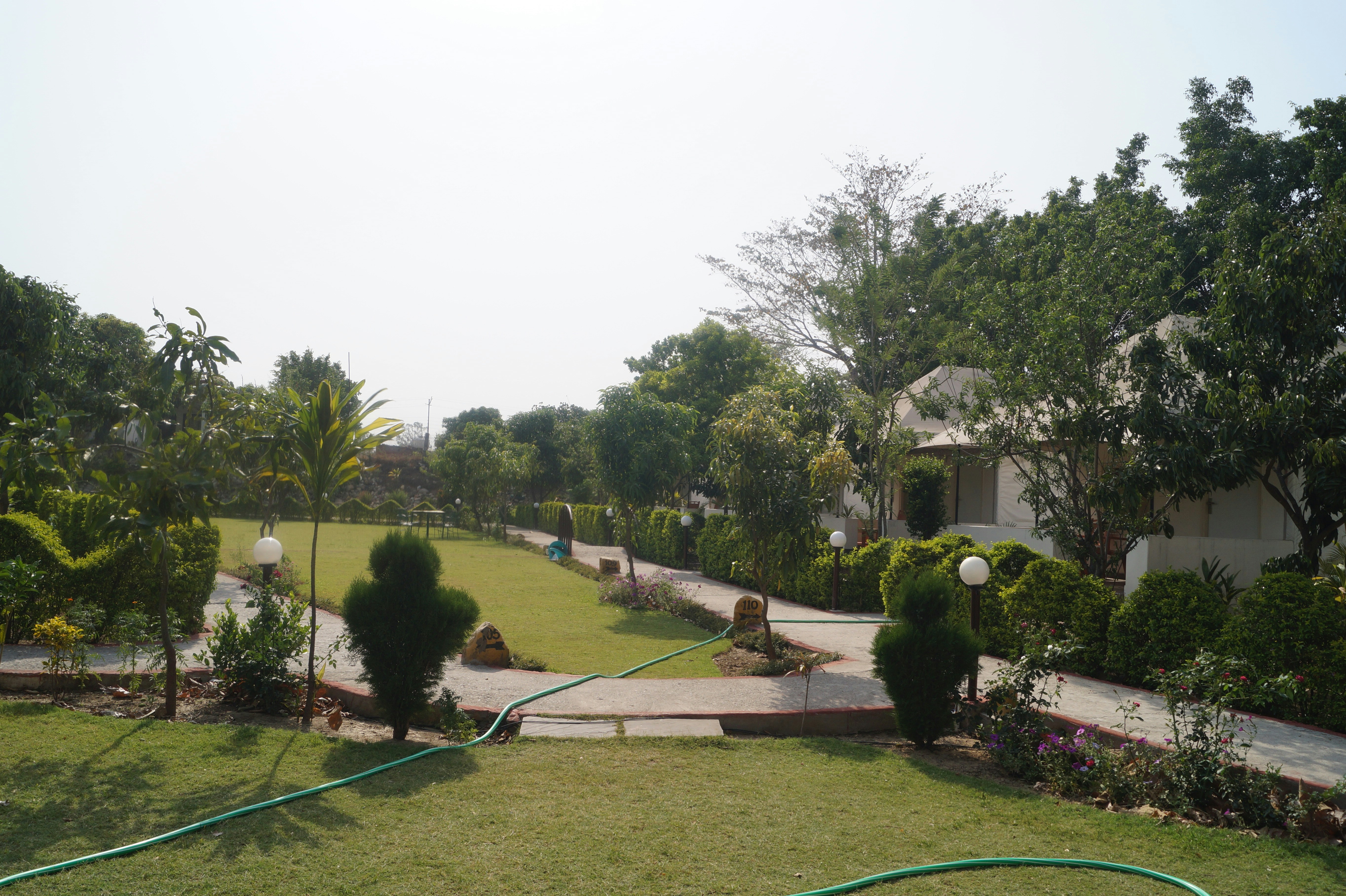 Manicured garden with a winding hose leading to a distant fire hydrant under a clear sky.