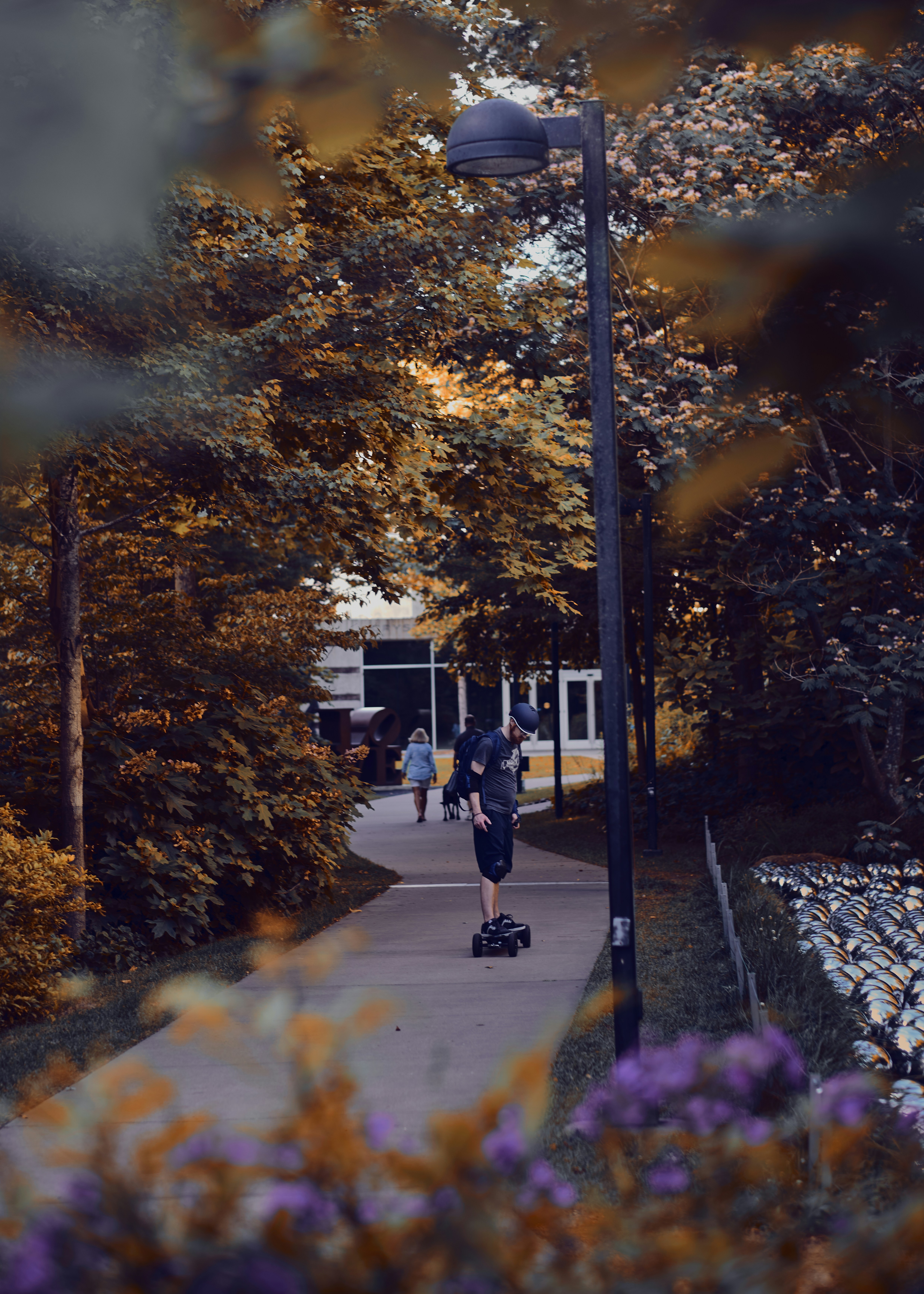 A young man glides on a skateboard along a serene pathway framed by vibrant foliage, with a glimpse of another person in the background. The scene captures the harmony between urban life and nature.