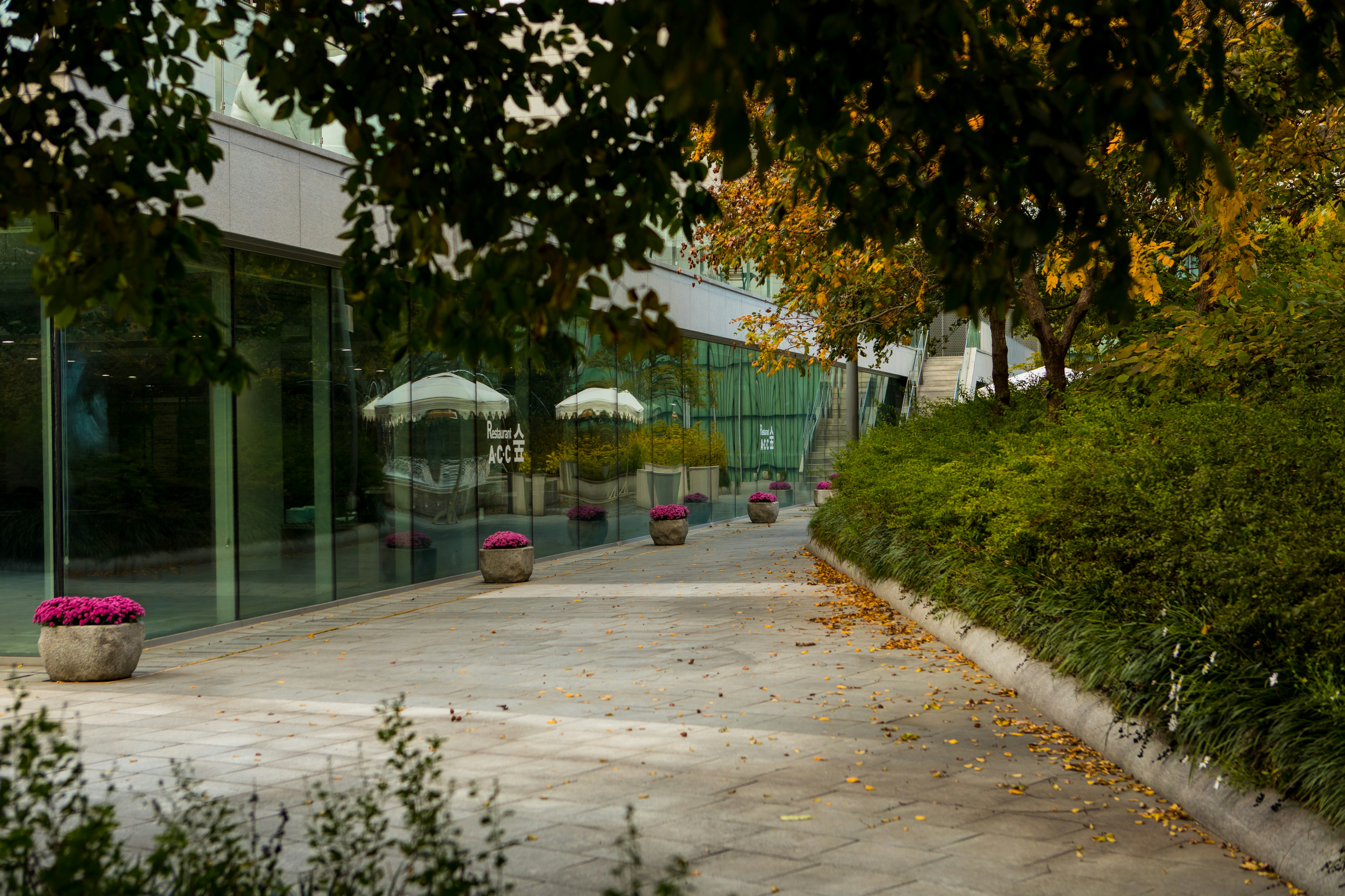 Autumn Corridor: A Quiet Walk Along Glass and Green