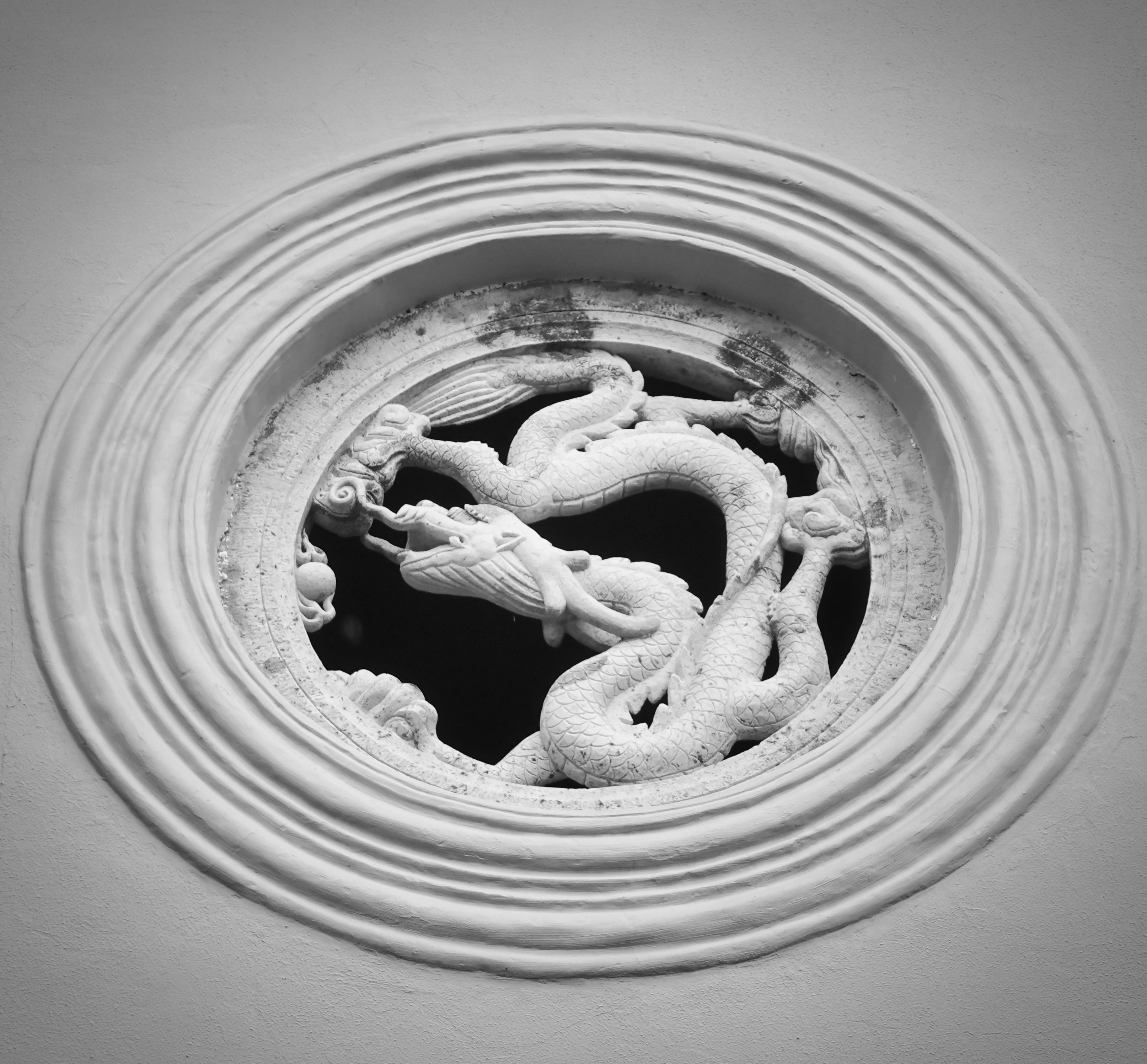 Serpentine Elegance in Monochrome Relief