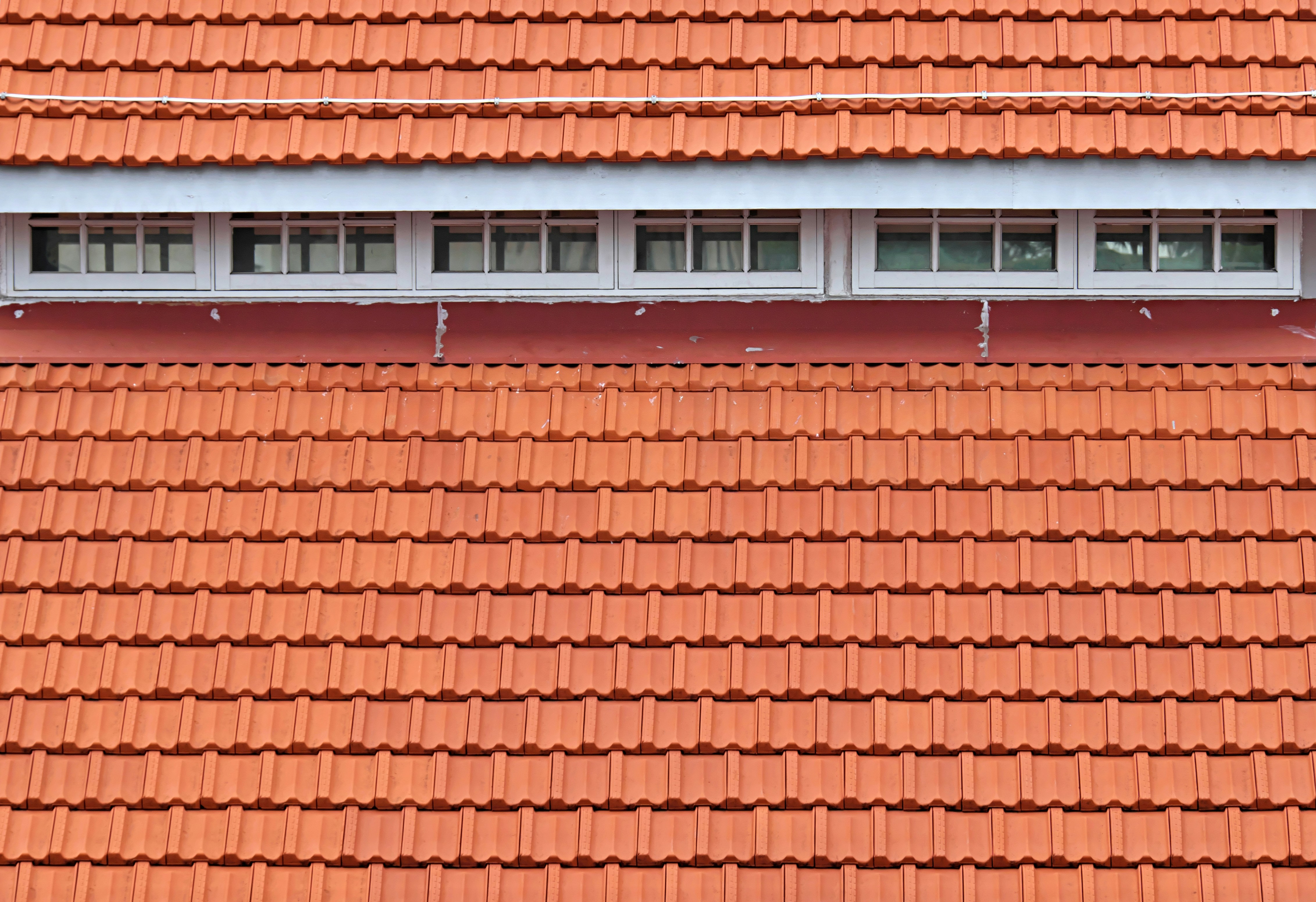 A red tiled roof with a window and a bird sitting on the ledge photo ...
