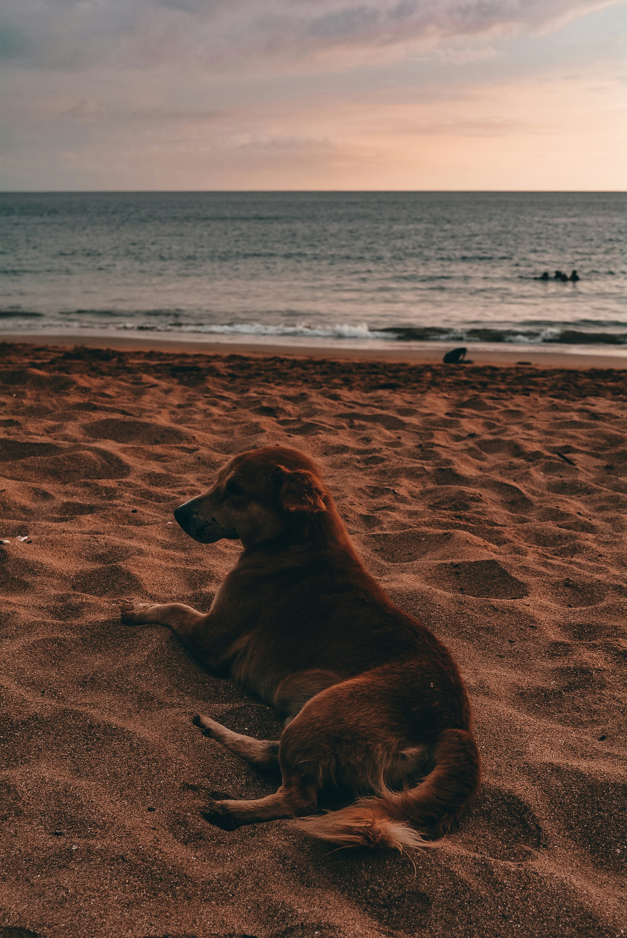 Ash M (@manchanda) | Unsplash Photo Community