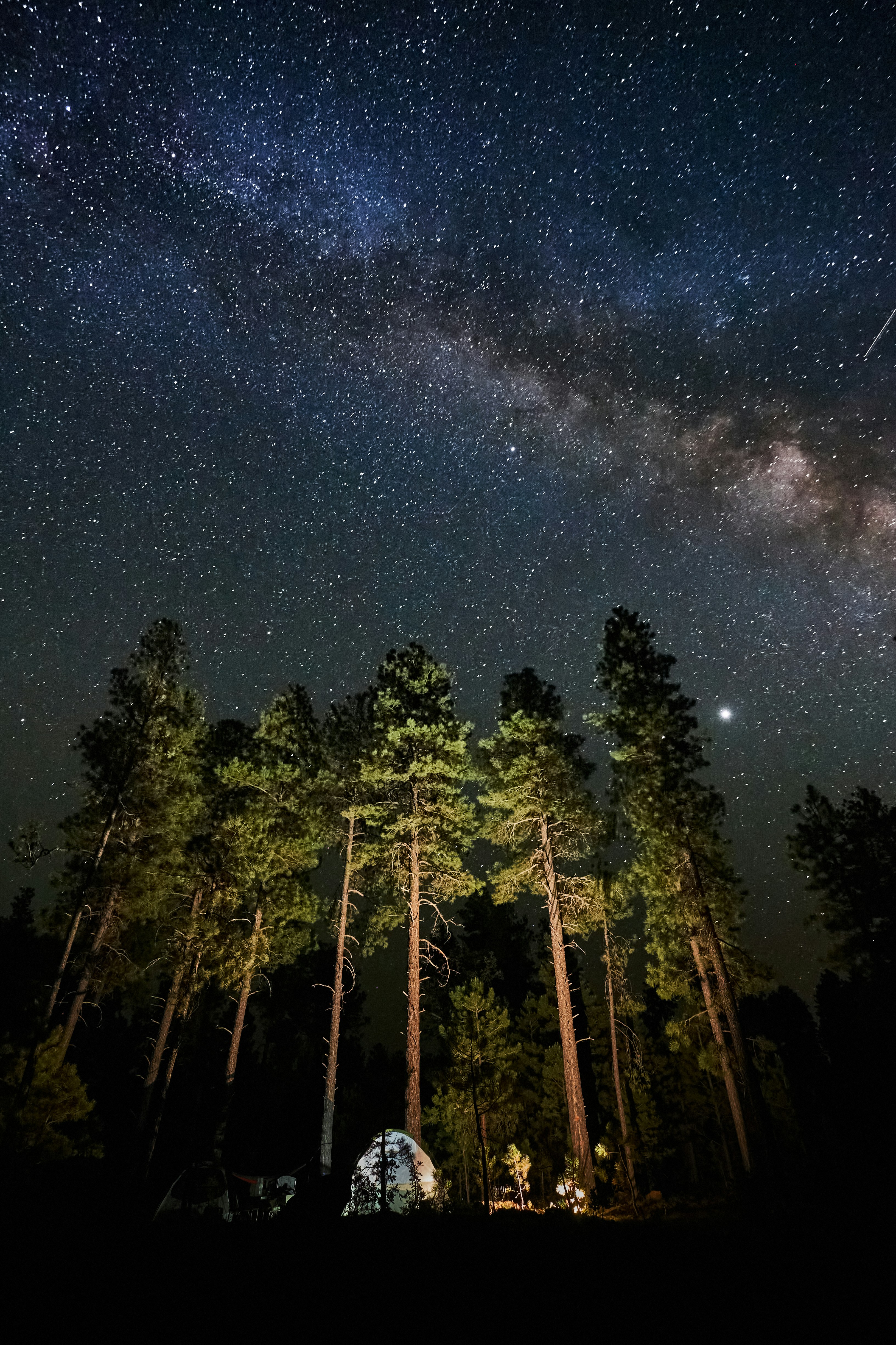 The night sky is filled with stars and trees photo – Free Sedona Image ...