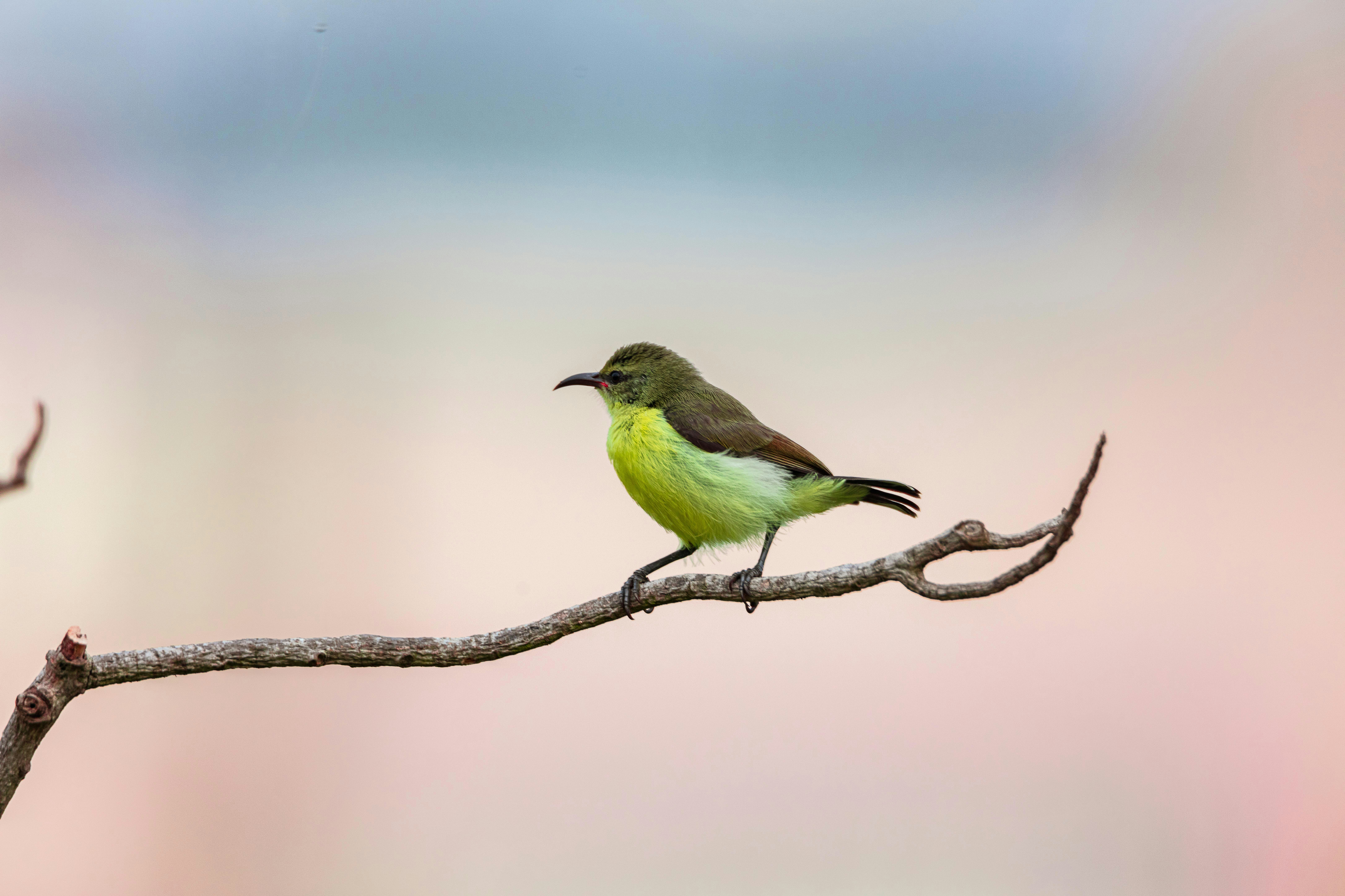 750+ Unsplash App Pictures | Download Free Images on Unsplash