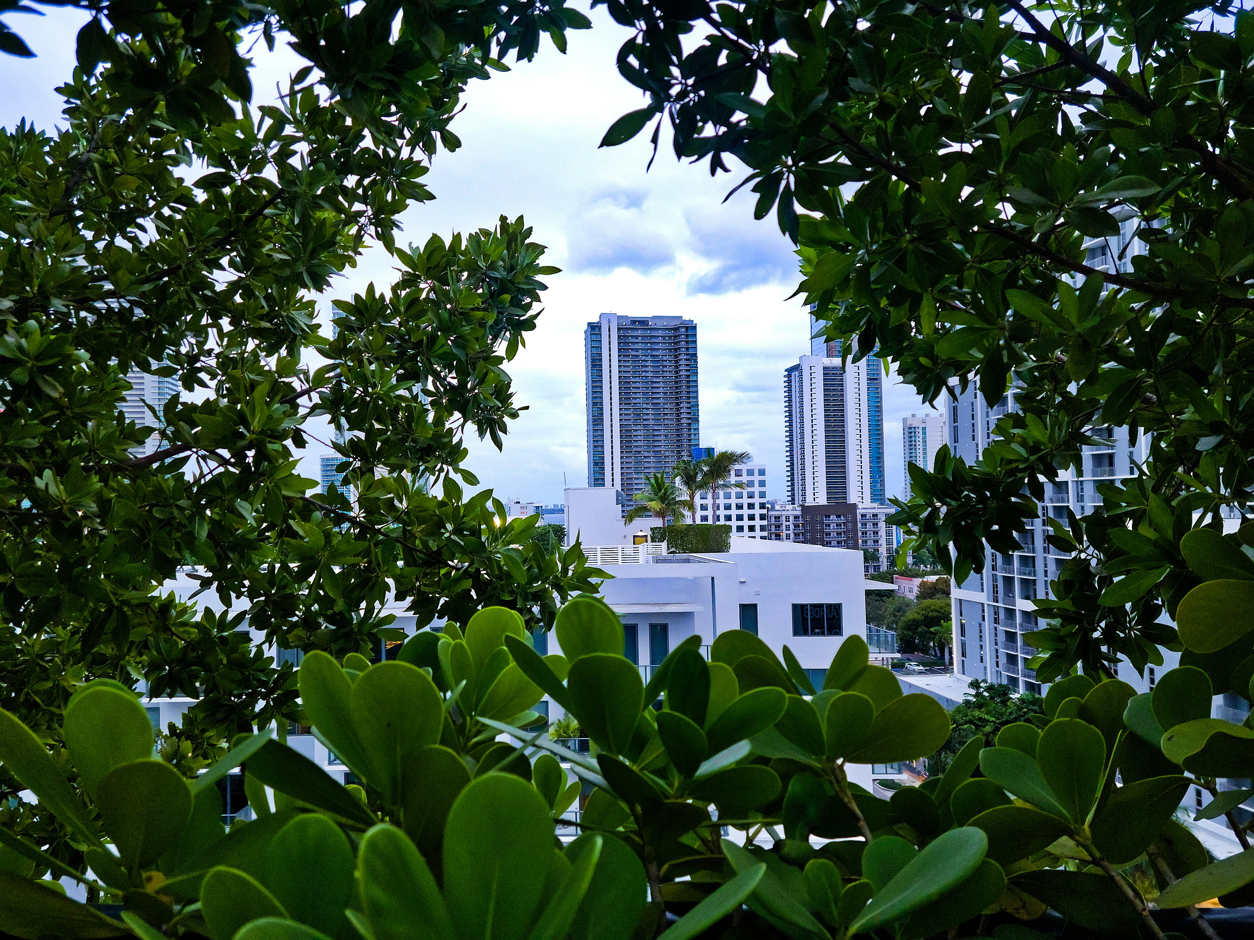 Skyscrapers peek through dense green foliage under a partly cloudy sky.