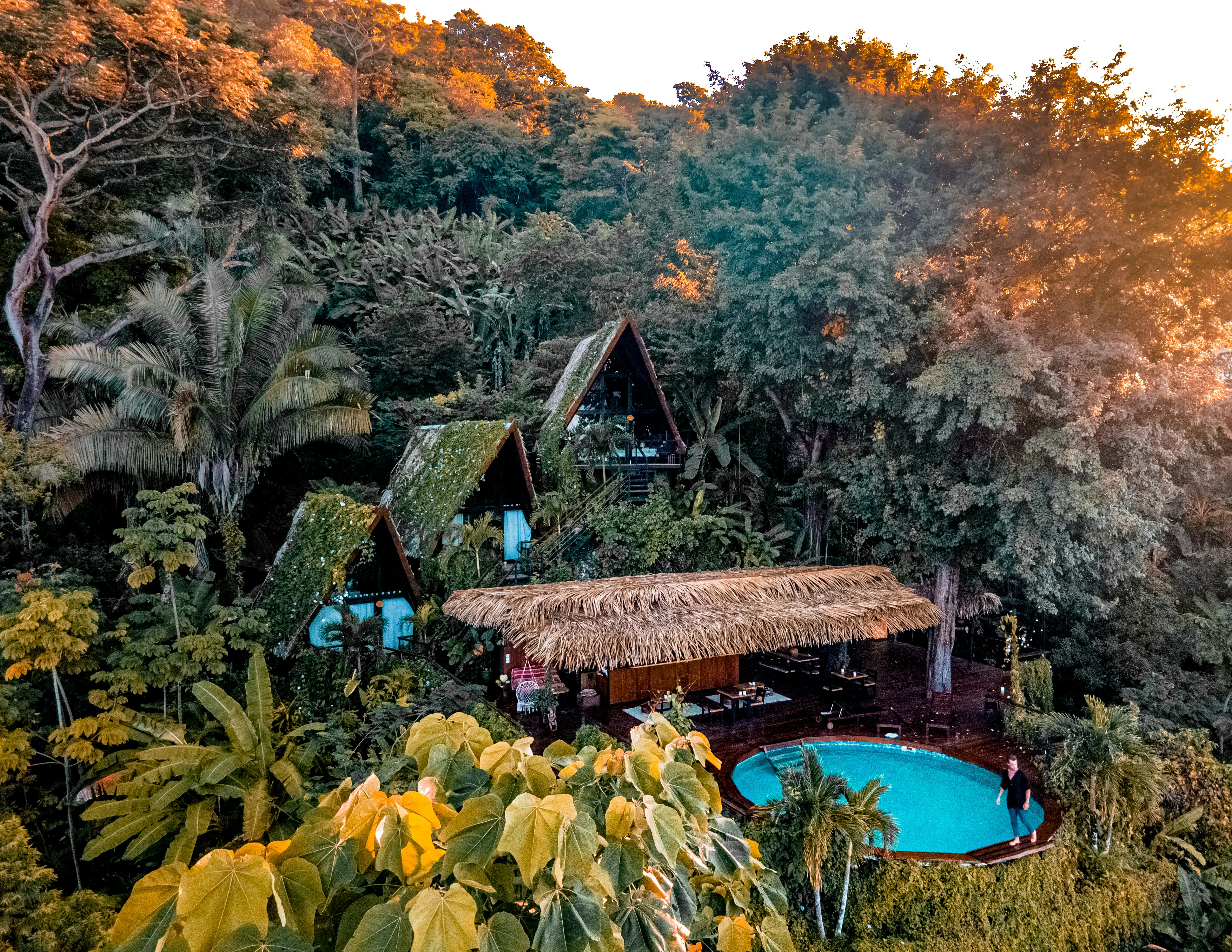 Canopy Courtyard: Thatched Cabins Embrace a Central Pool from Above