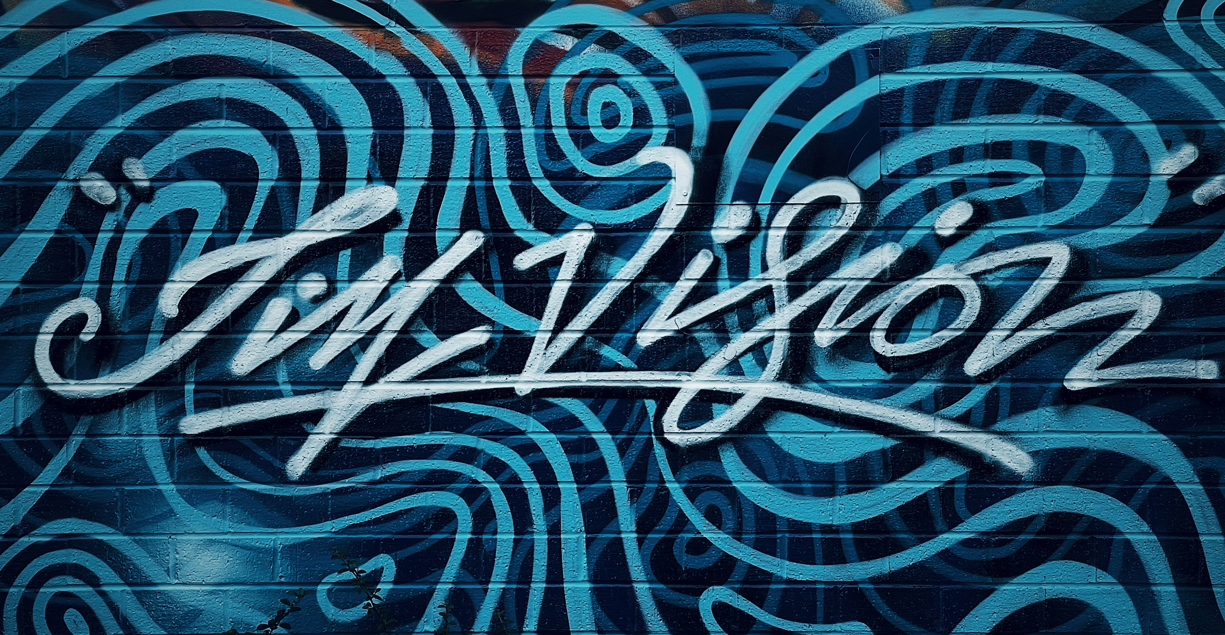 Bella Name Aesthetic Wallpaper Pictures | Download Free Images on Unsplash