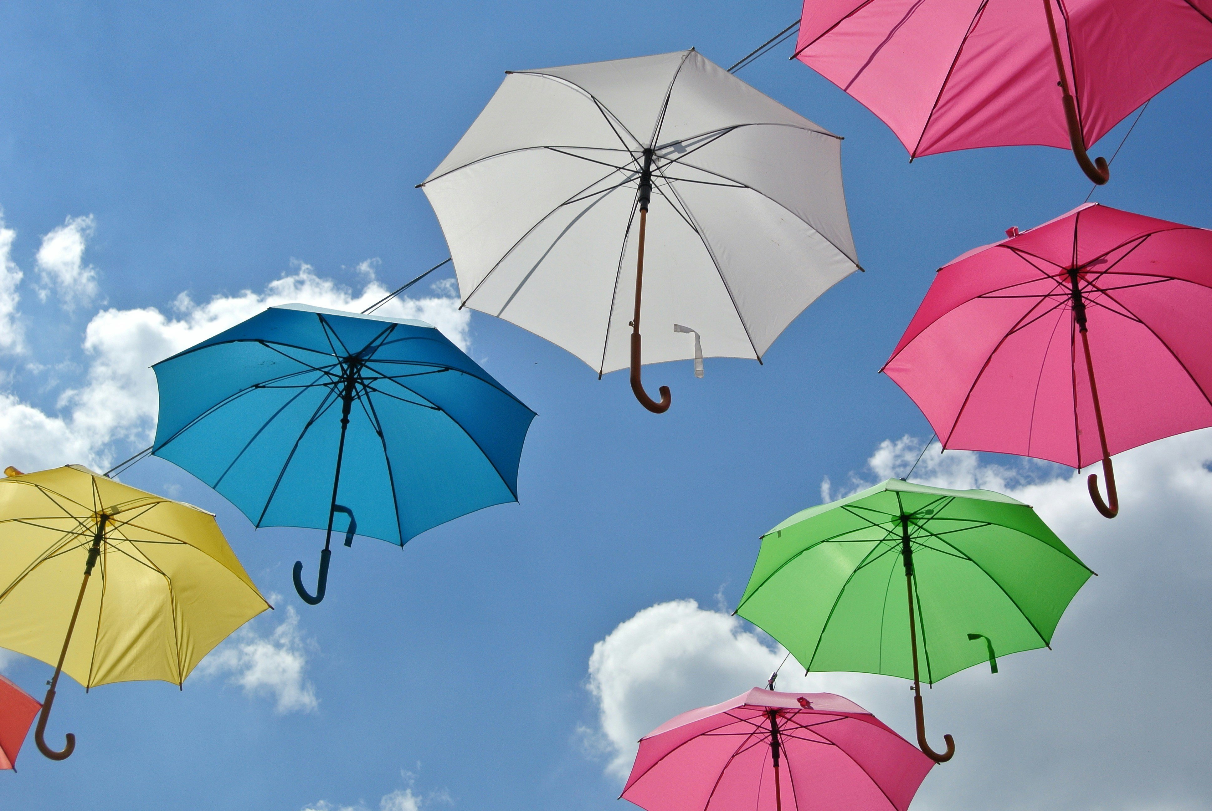 A bunch of umbrellas that are hanging in the air photo – Free Umbrella ...