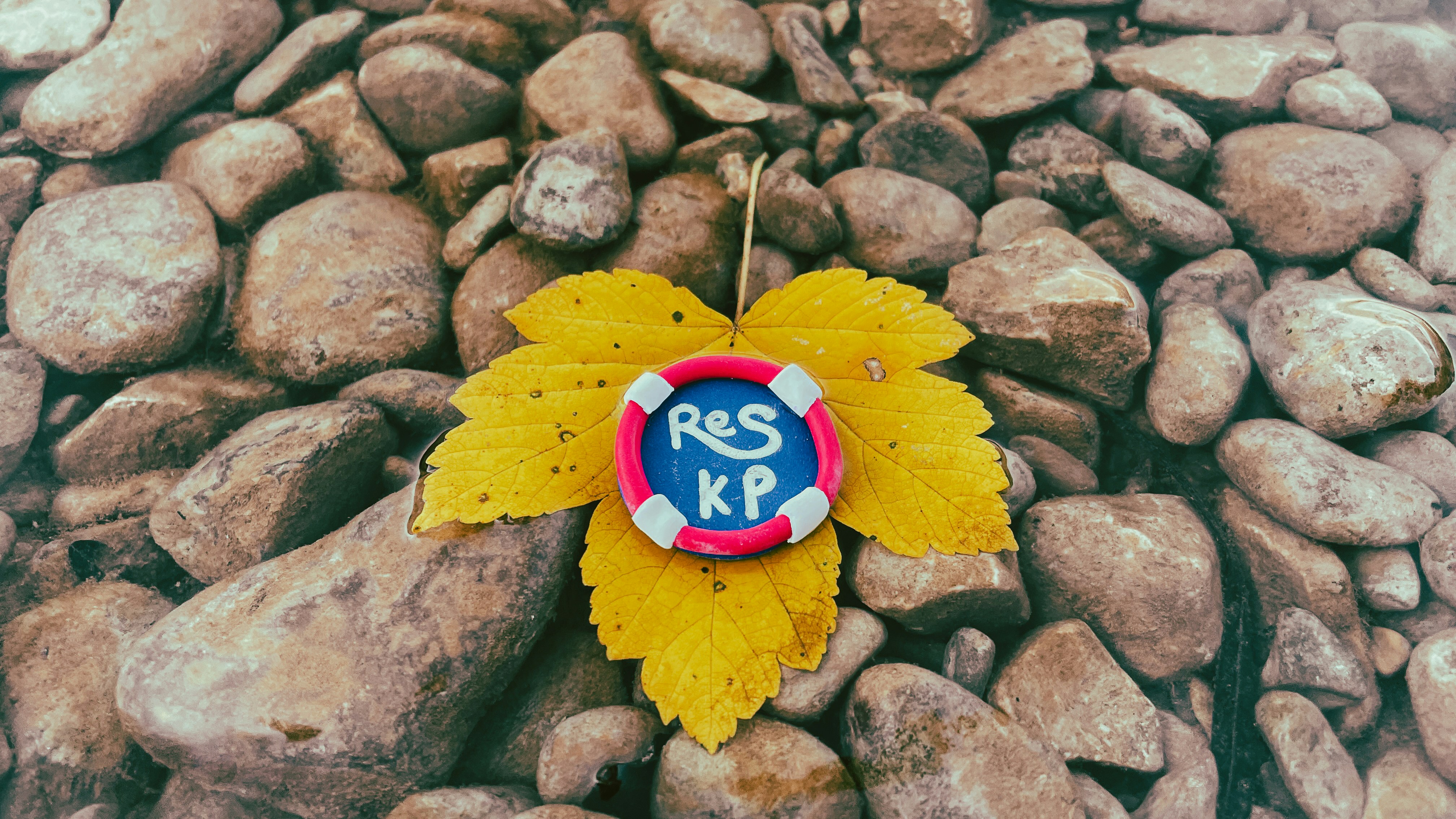 Tiny Lifebuoy Nestled on Golden Leaves Among Pebbles