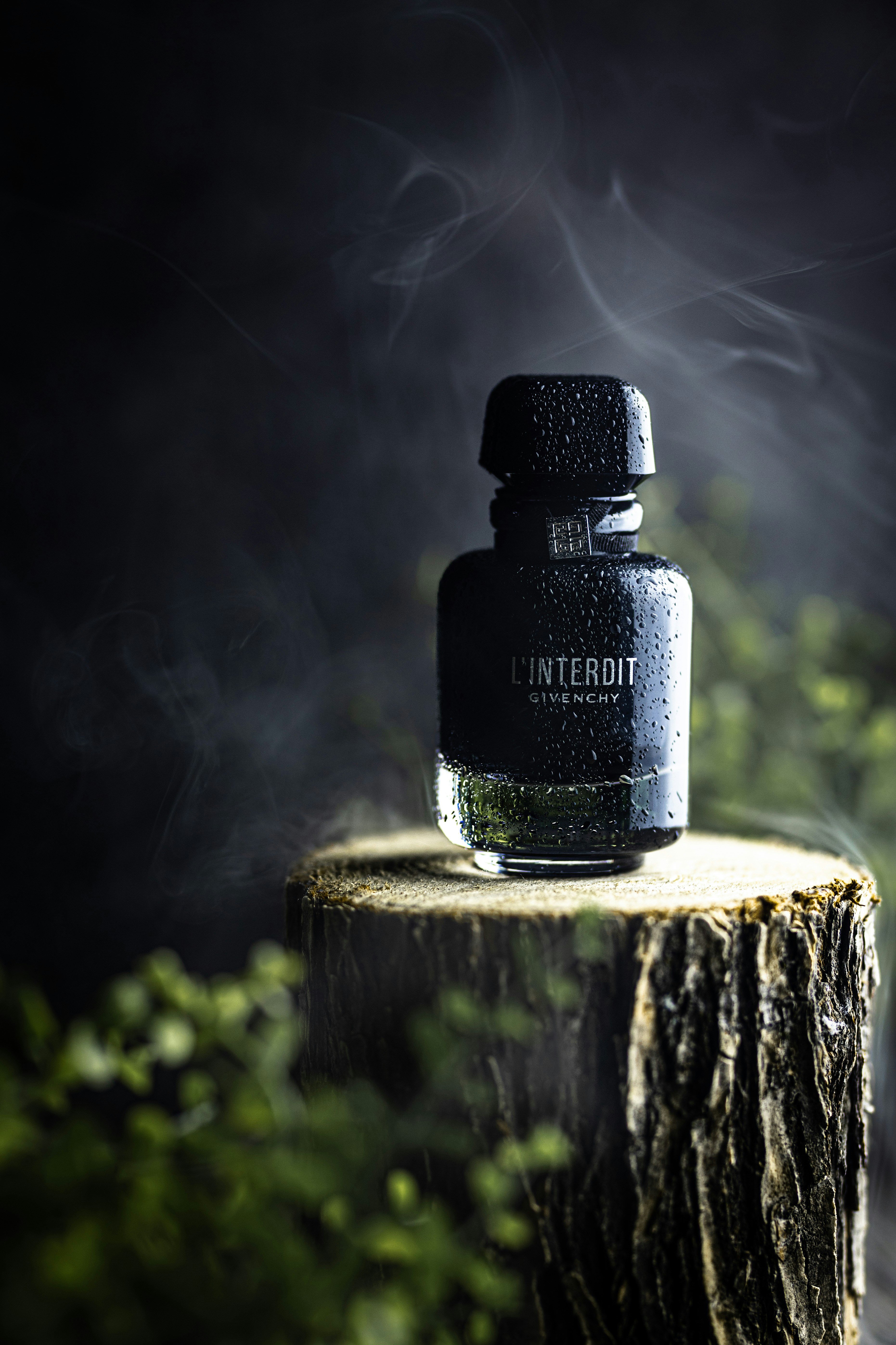 Noir Elixir on a Mossy Stump: L'Interdit Emerges from Mist