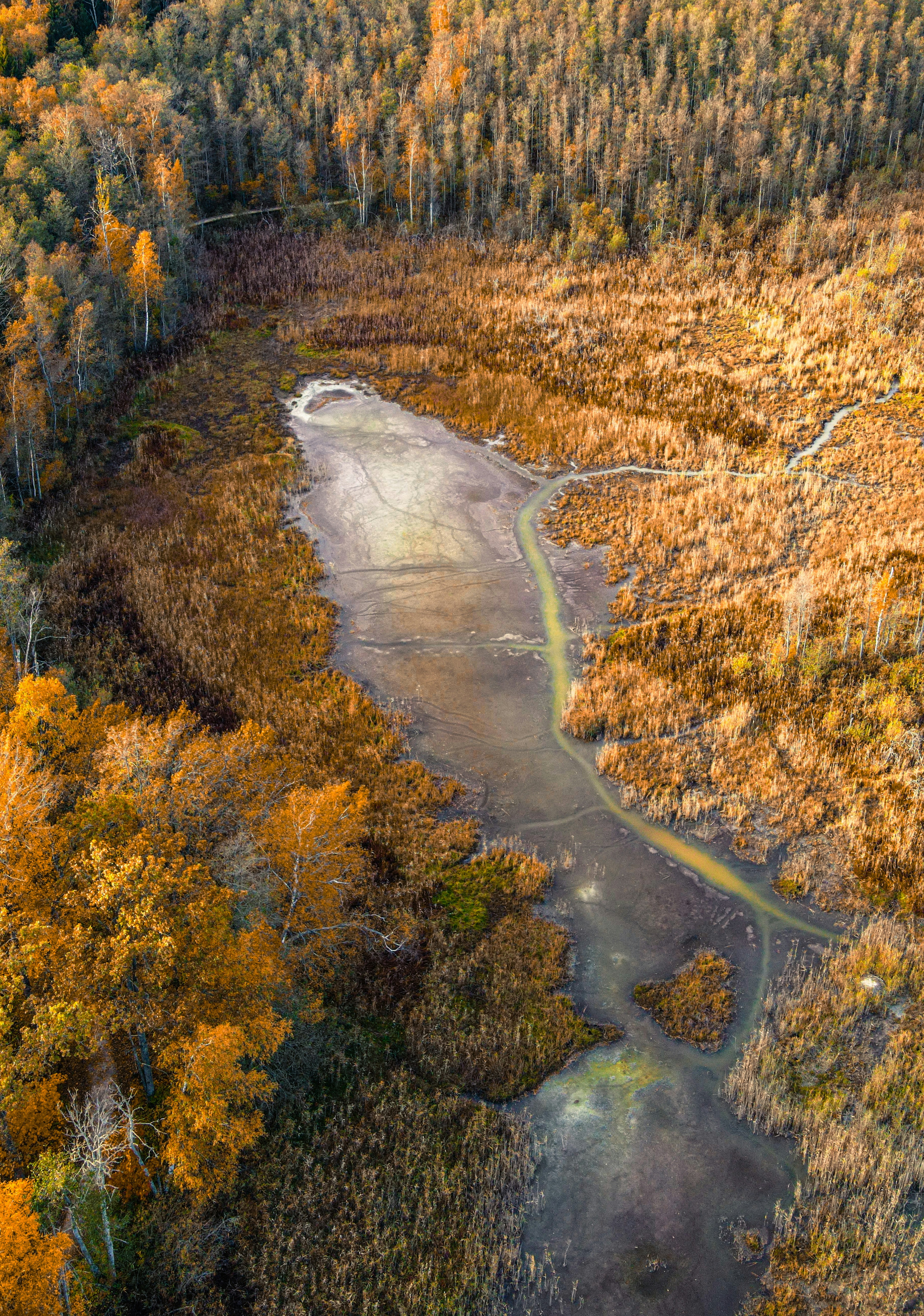An aerial view of a river surrounded by trees photo – Free Slokas ezers ...