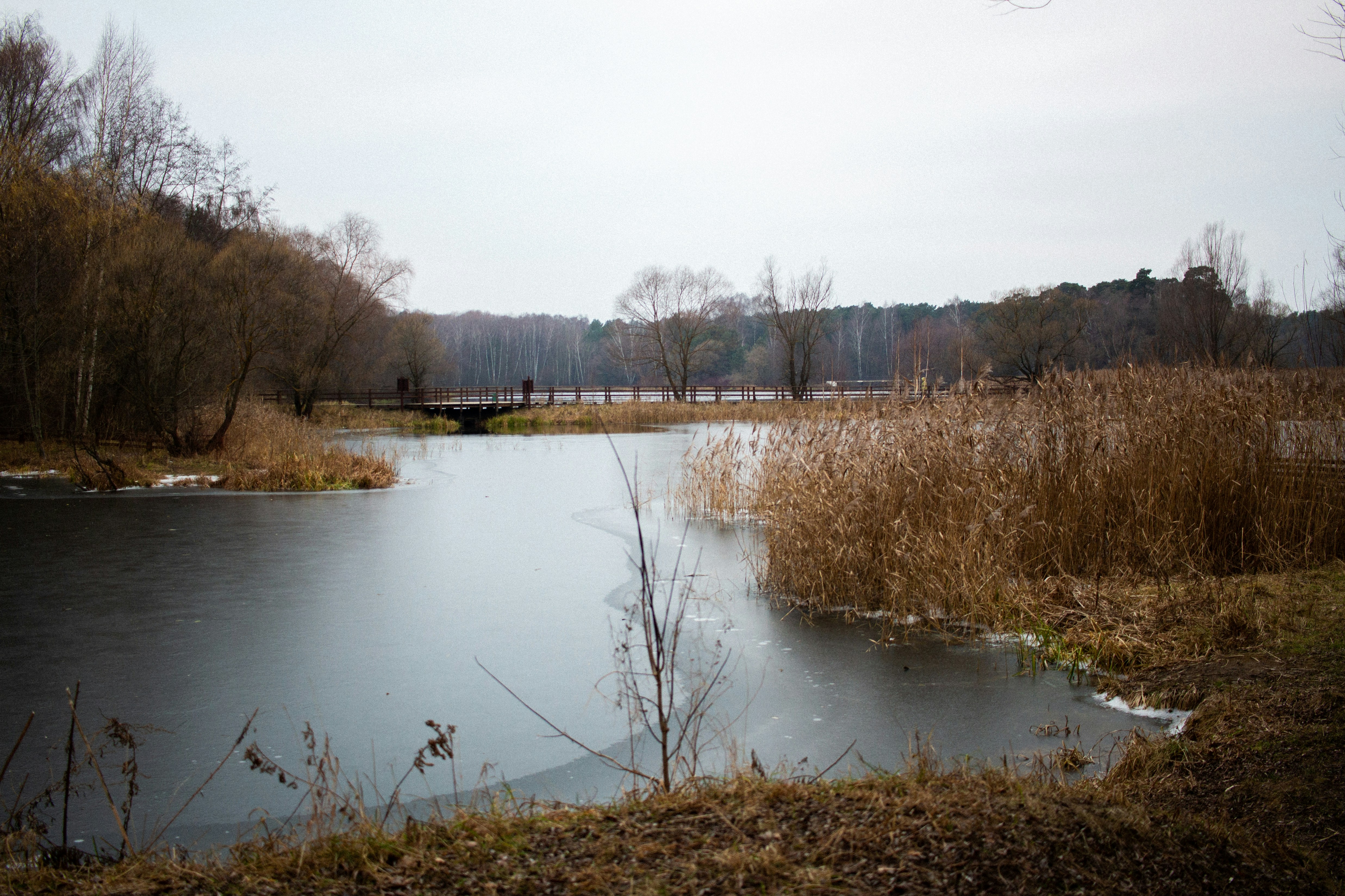 A tranquil waterway surrounded by bare trees and tall reeds, leading to a distant wooden bridge. The stillness of the water reflects a muted sky.
