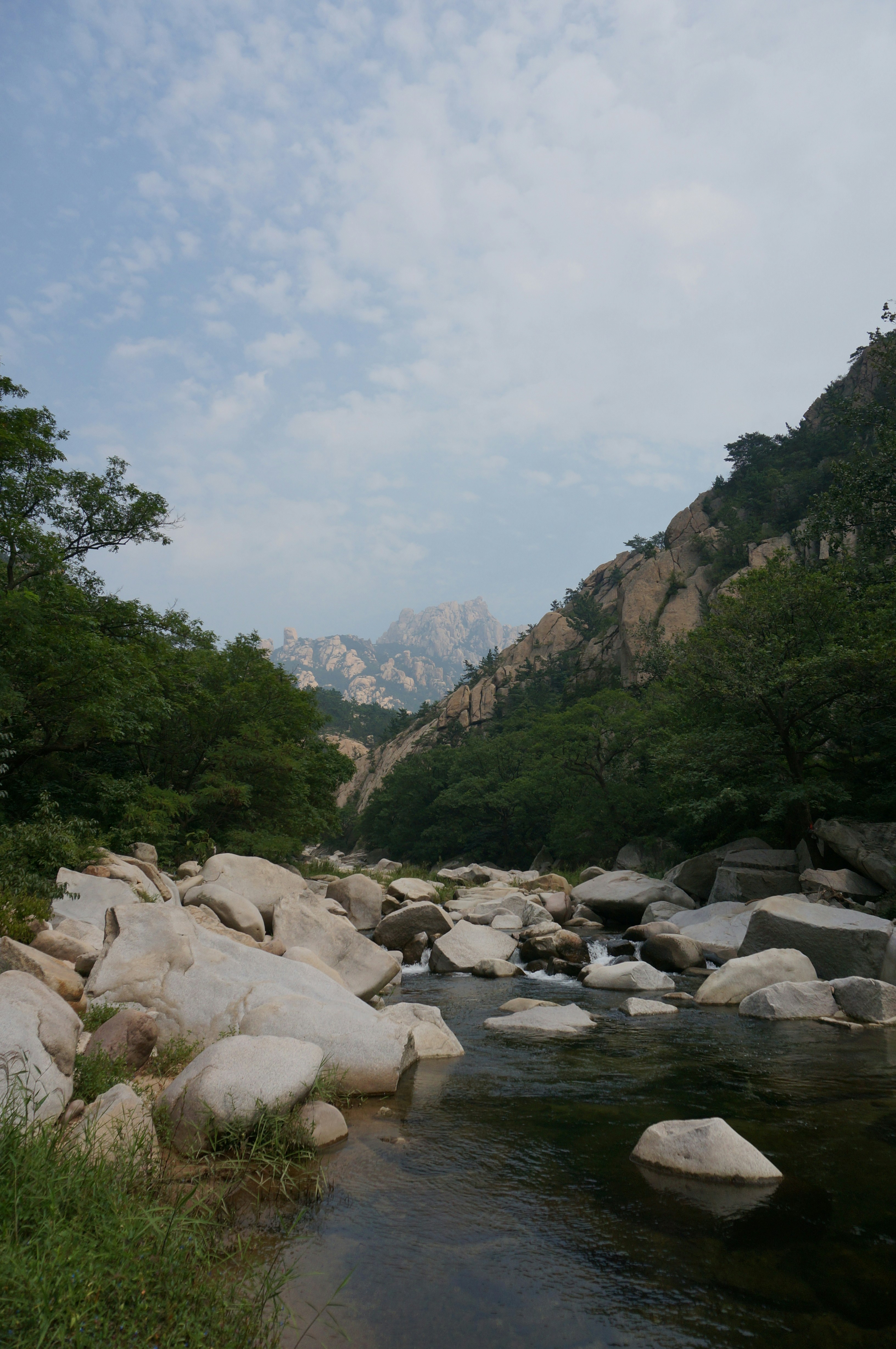 A serene river winding through a rocky landscape, framed by lush greenery and distant mountains under a cloudy sky.