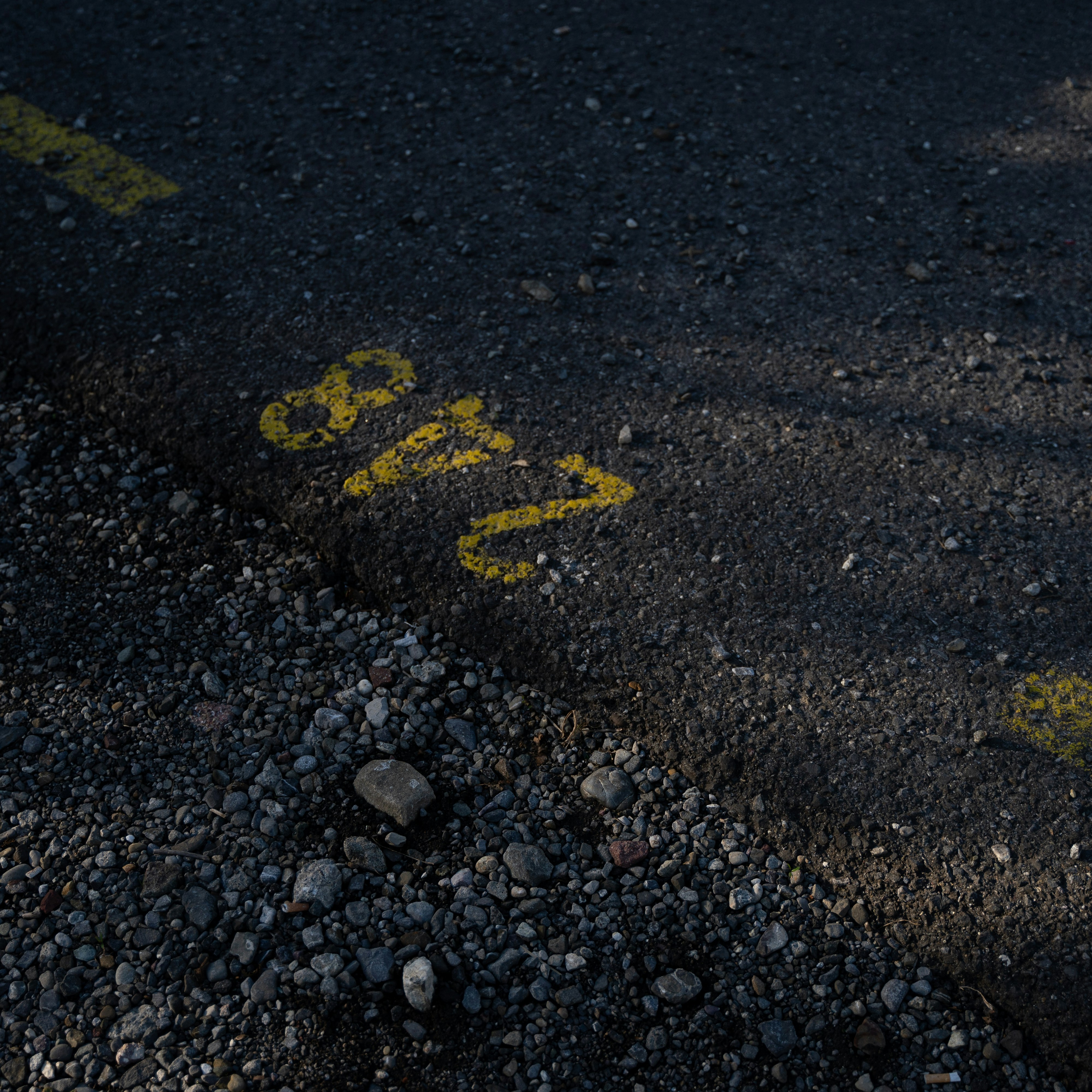 Yellow parking lot markings on asphalt, partially obscured by gravel and shadows. The scene captures the intersection of urban life and nature.