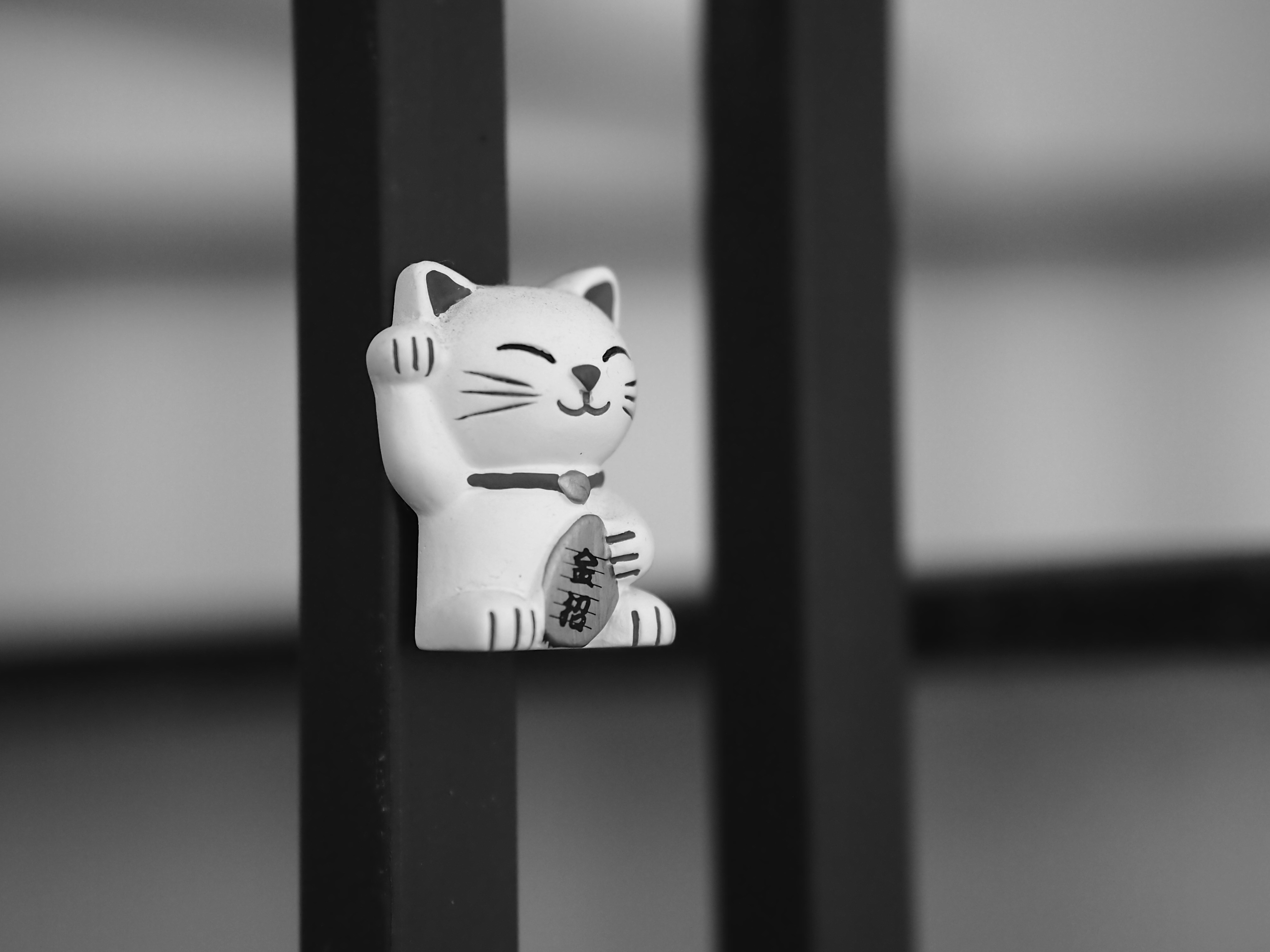 Between Rails: A Quiet Maneki-Neko in Focus