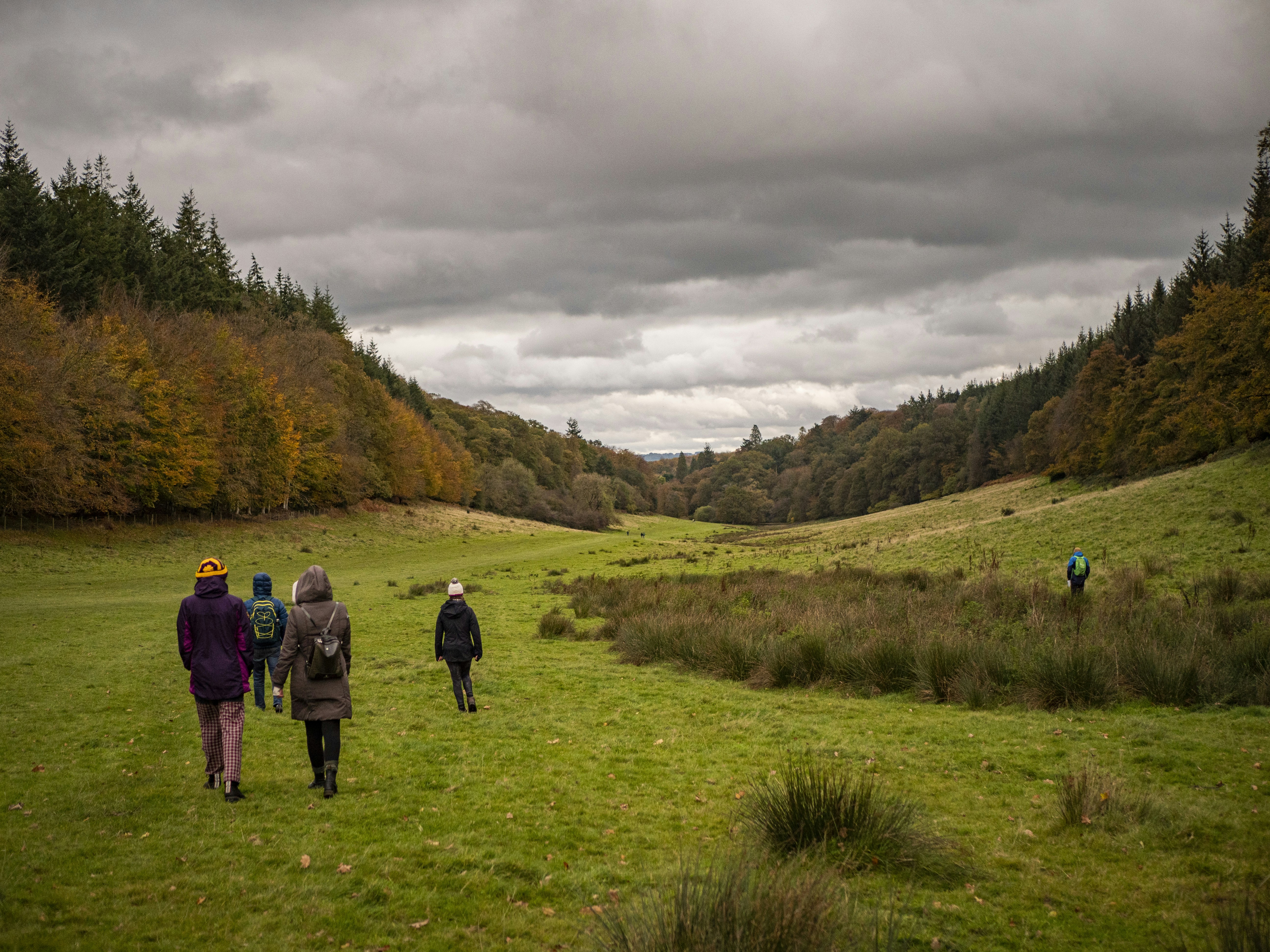 a group of people walking across a lush green field