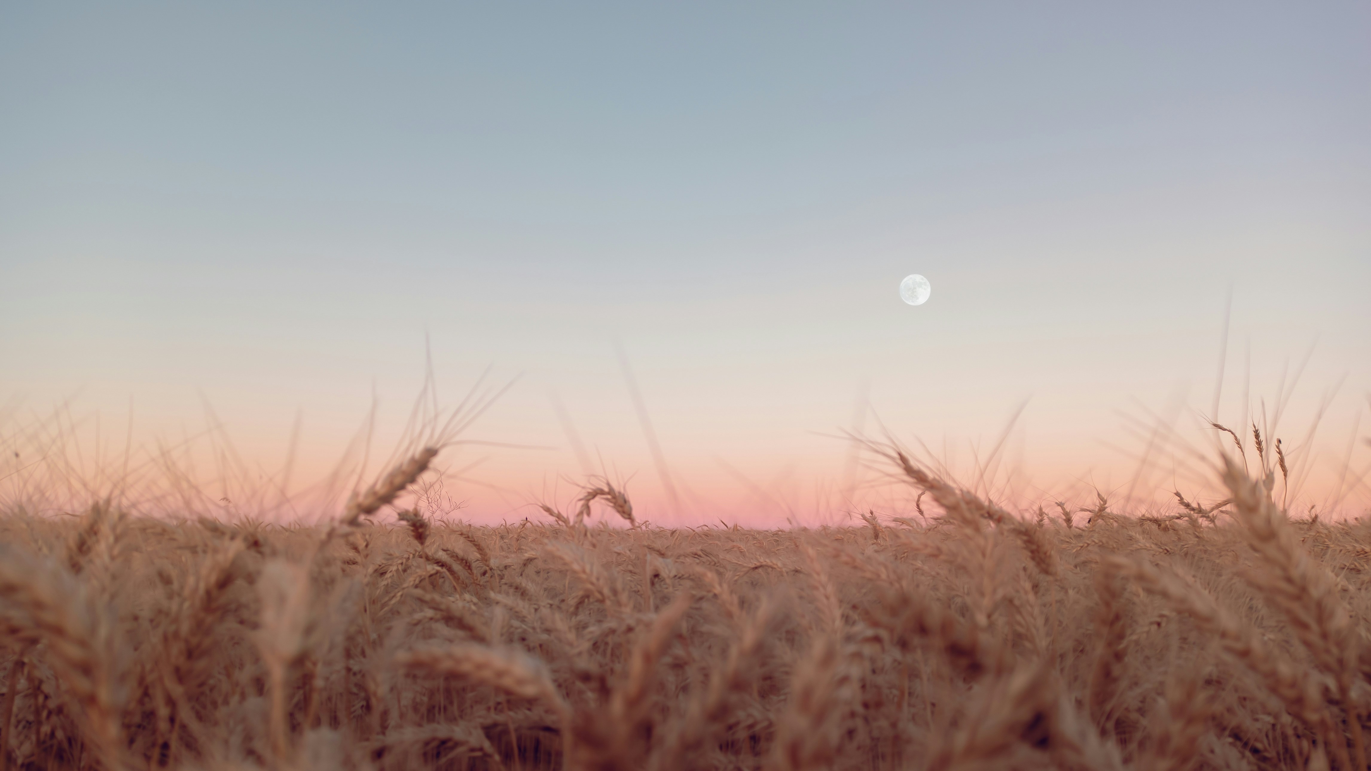 Come to me - by Trudi Nicola - Sparks of light