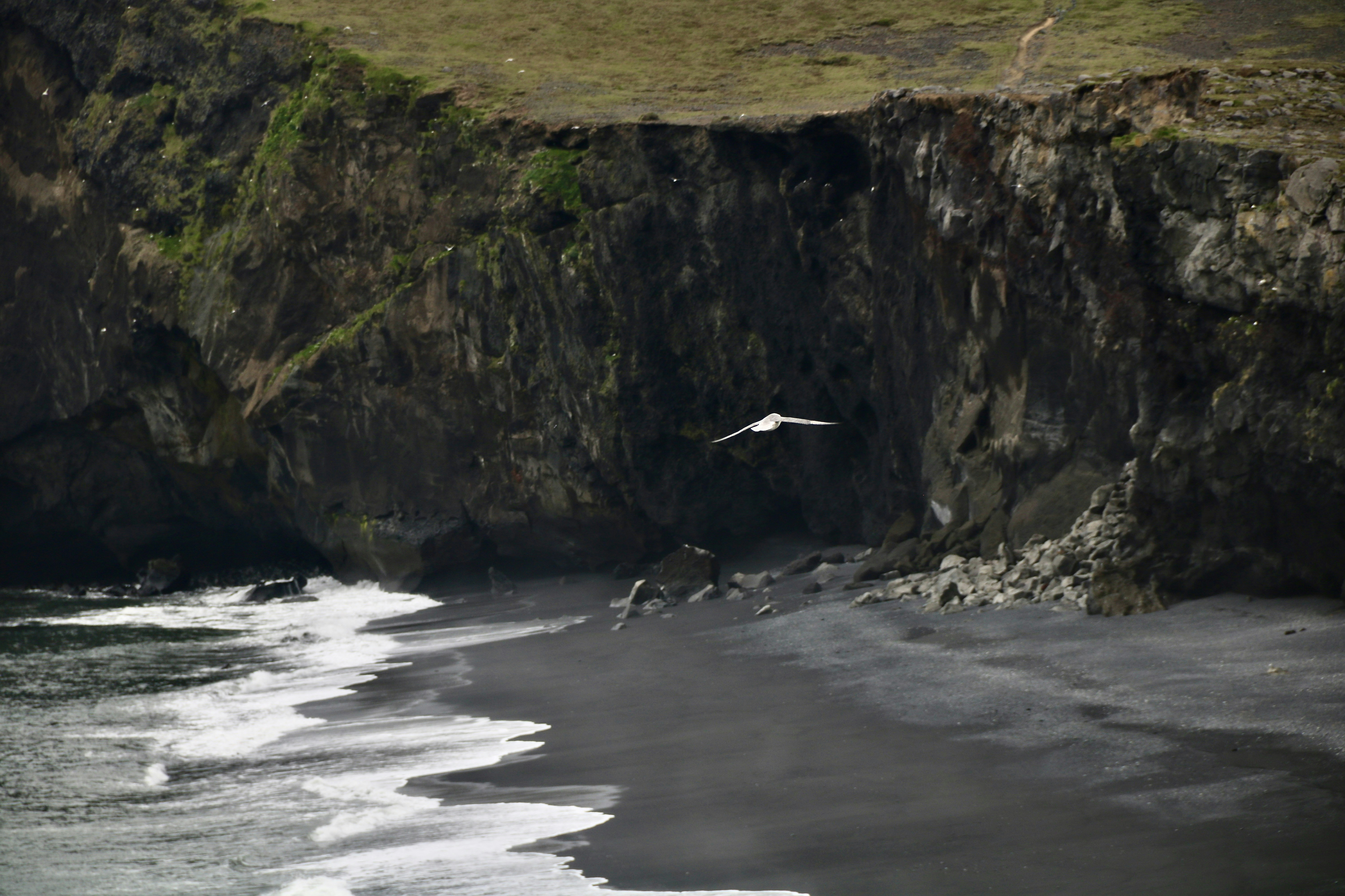 a bird flying over the ocean near a cliff