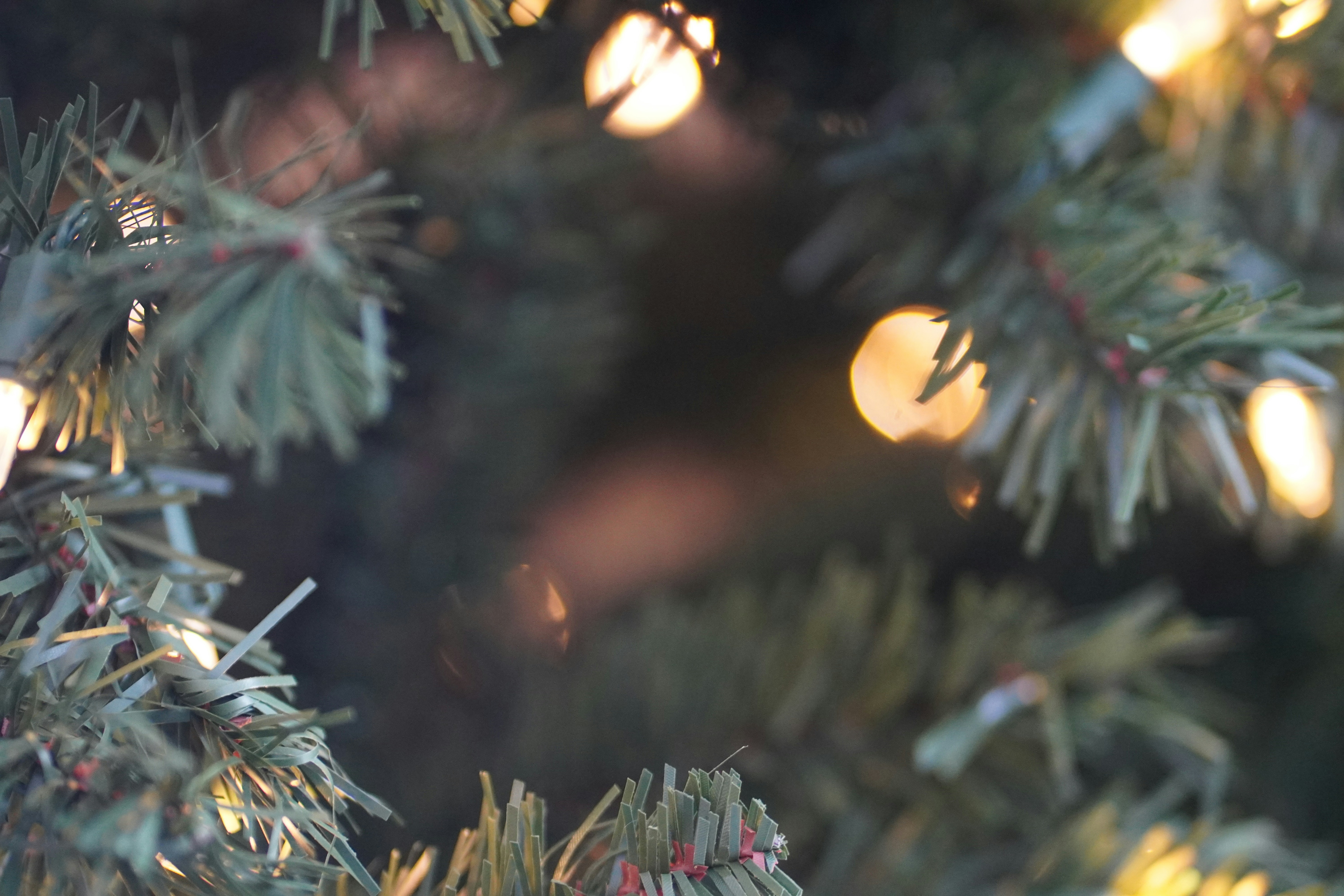 Close-up of evergreen branches adorned with soft, glowing lights, evoking a warm holiday ambiance.
