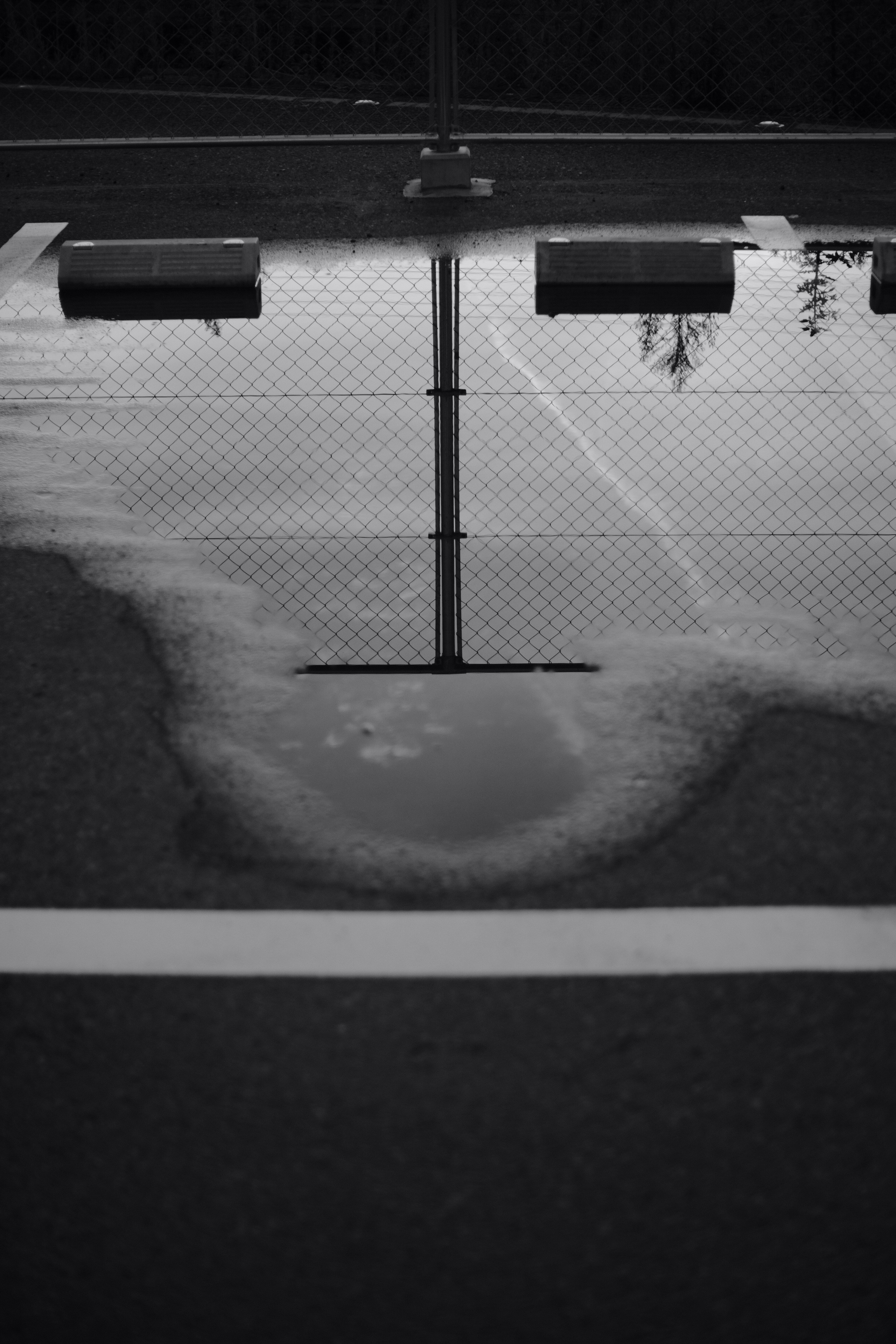 Reflection in the Fence: A Quiet Edge of the Court