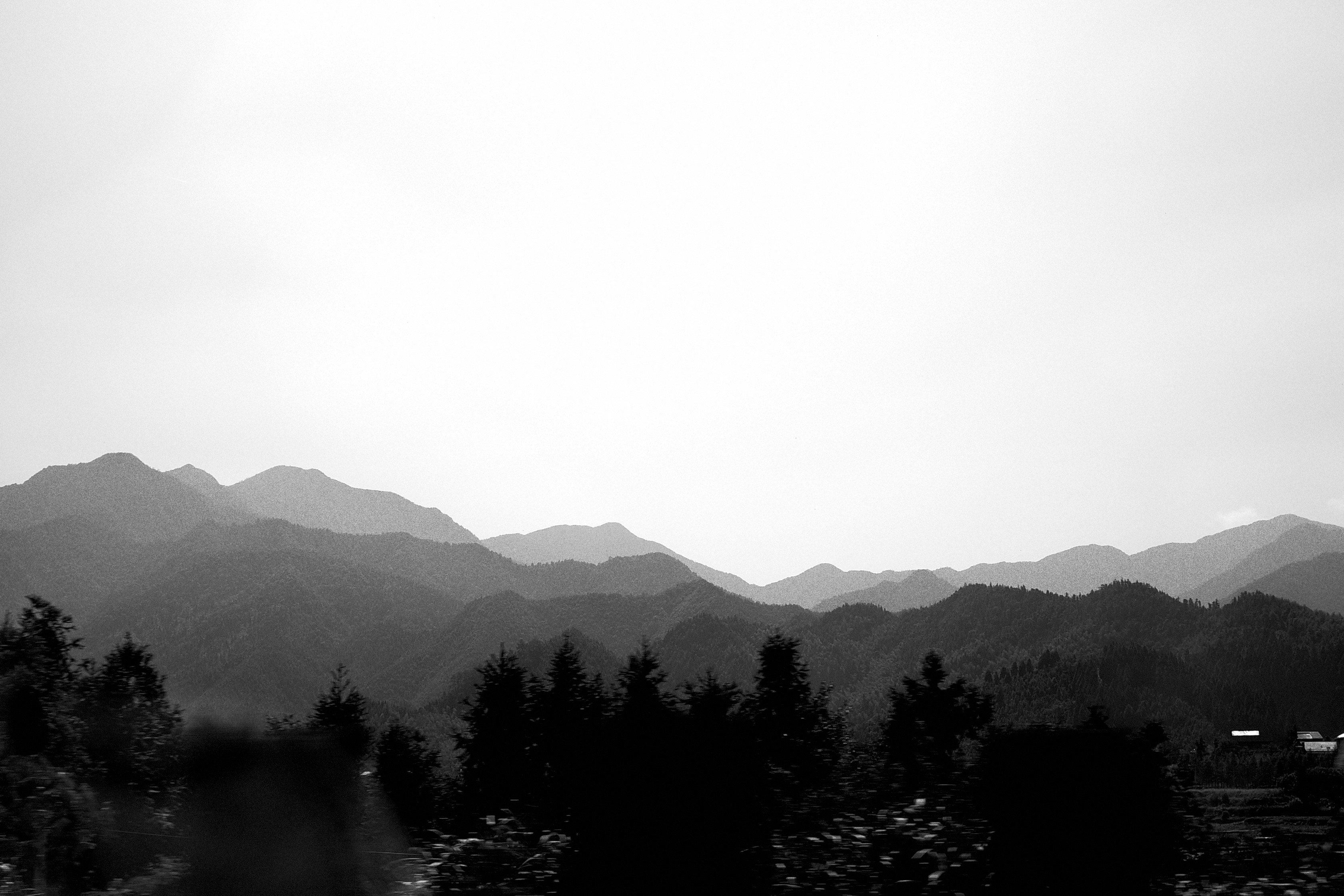 Xin Qu (@ququxin) | Unsplashフォトコミュニティ