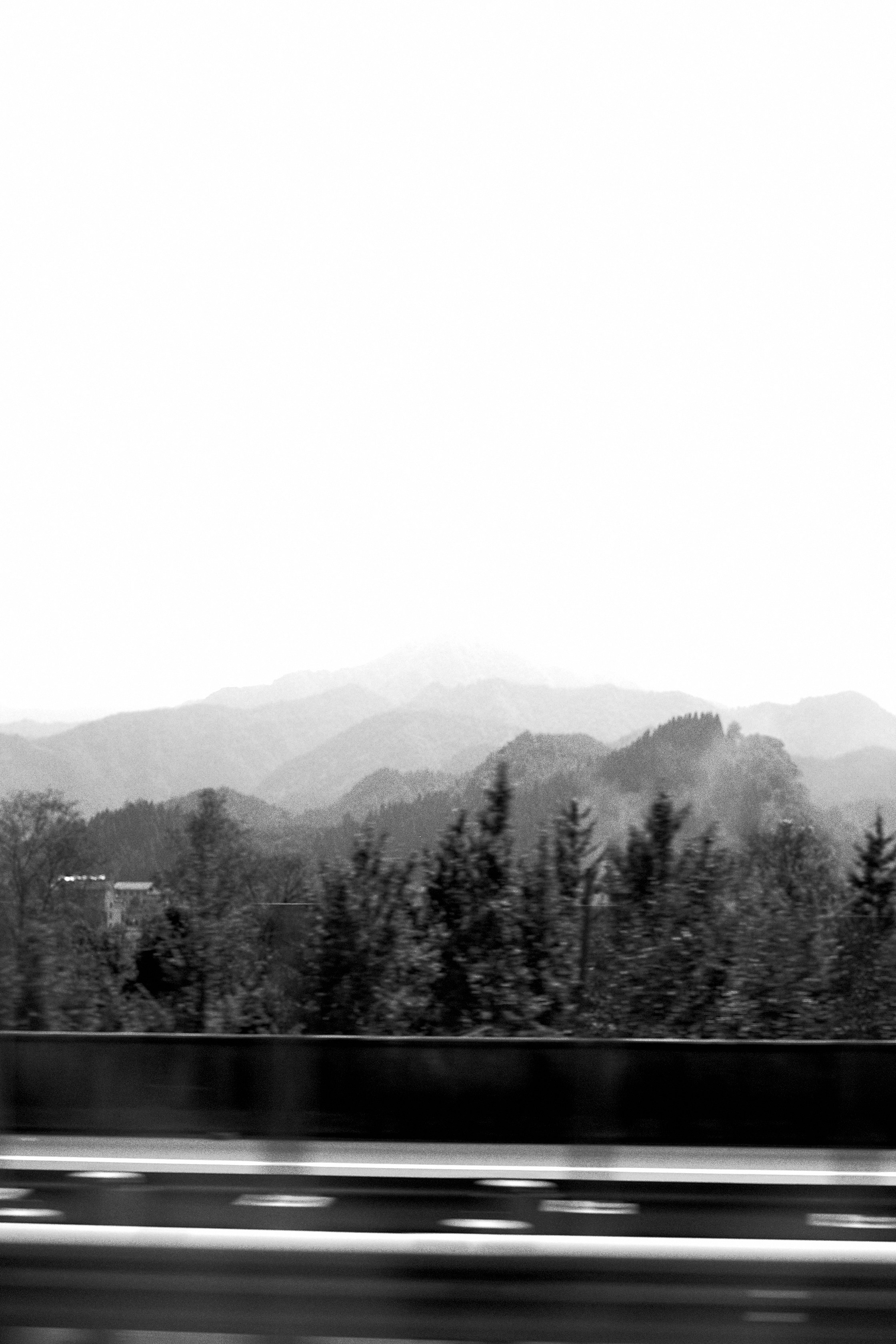 Xin Qu (@ququxin) | Unsplashフォトコミュニティ