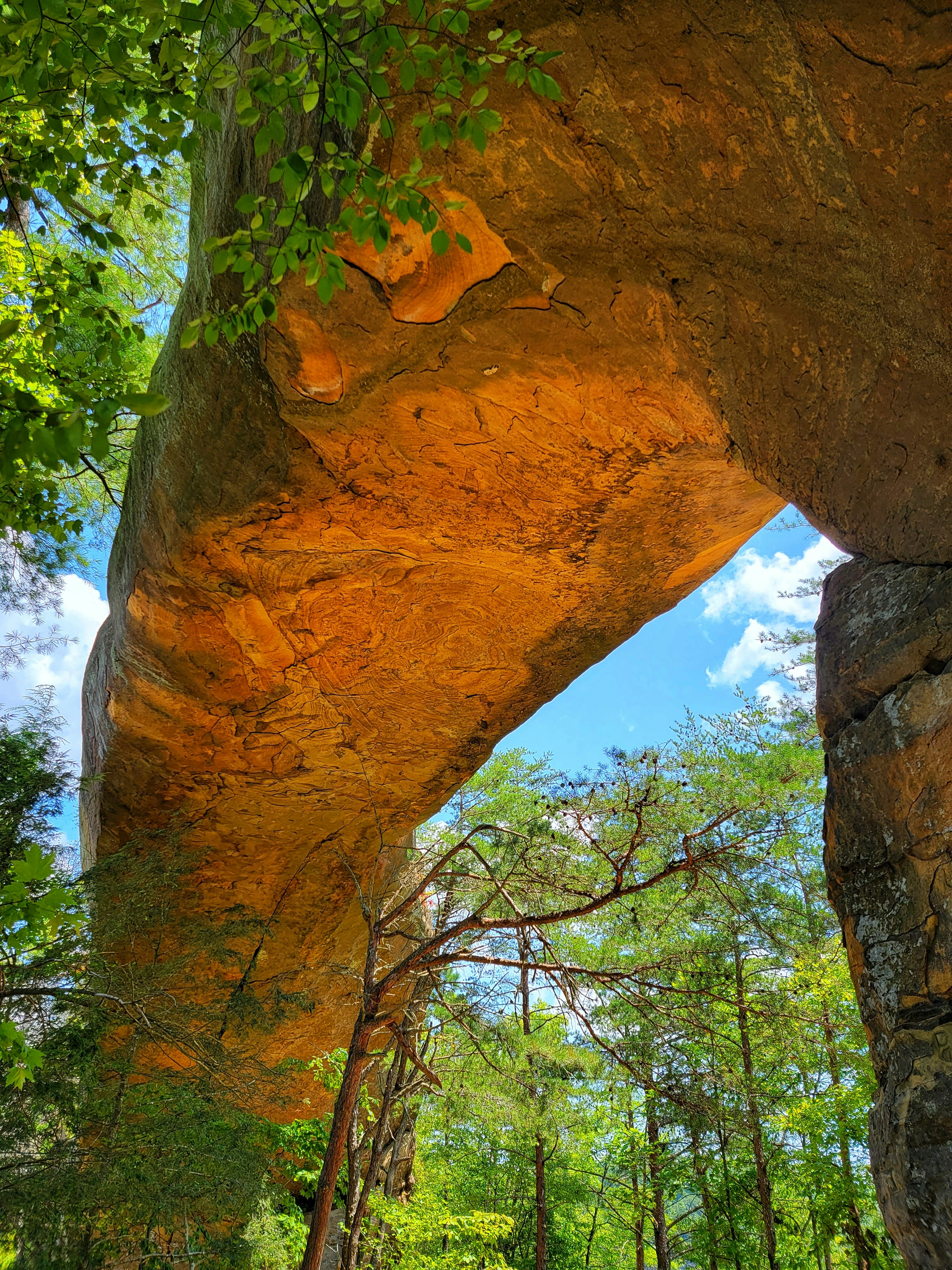 Une grande formation rocheuse au milieu d’une forêt photo – Photo Arbre ...