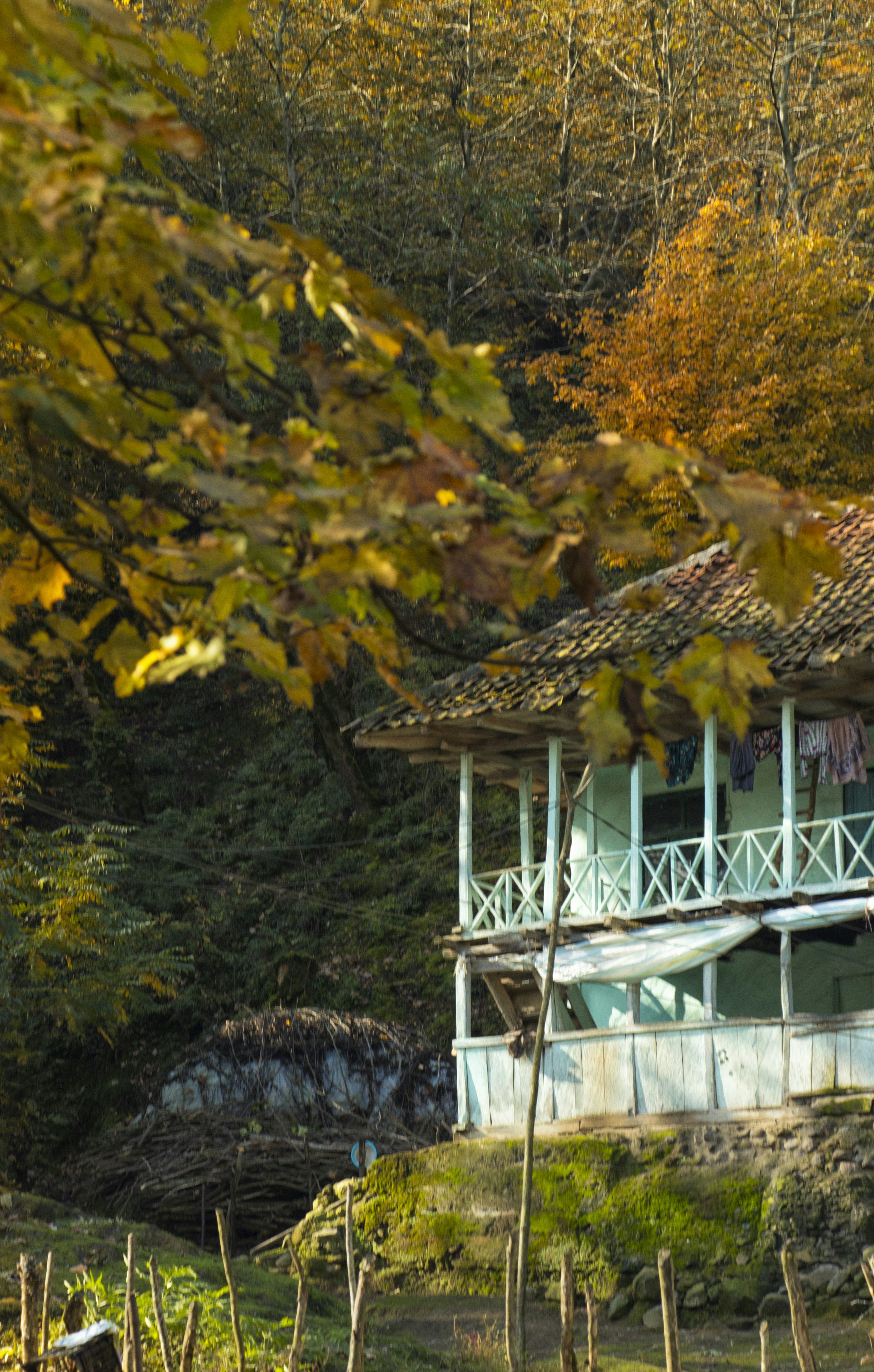 Kanrud Photos | Télécharger des images gratuites sur Unsplash