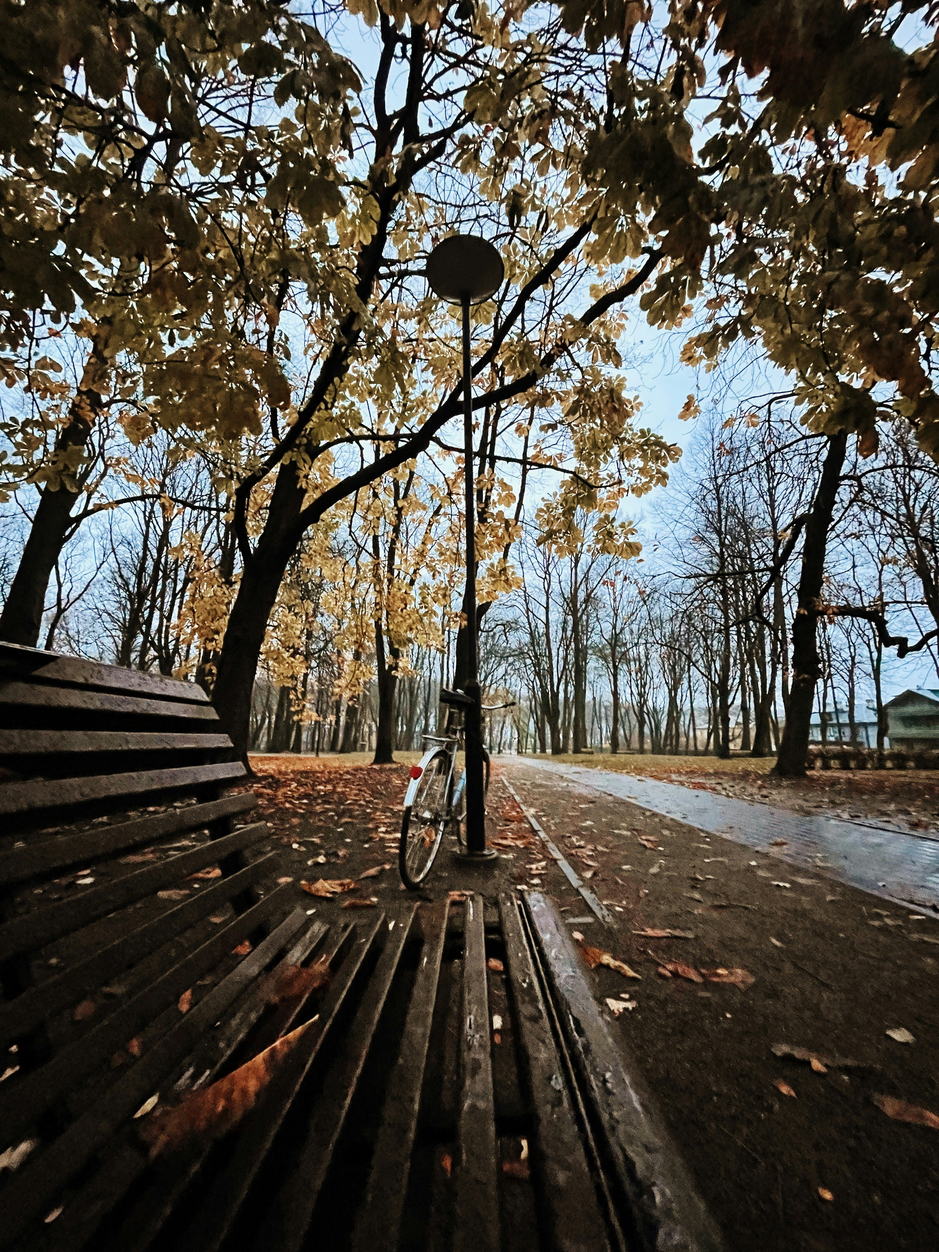 Lamppost, Bicycle, and Autumn Light: A Quiet Park Moment