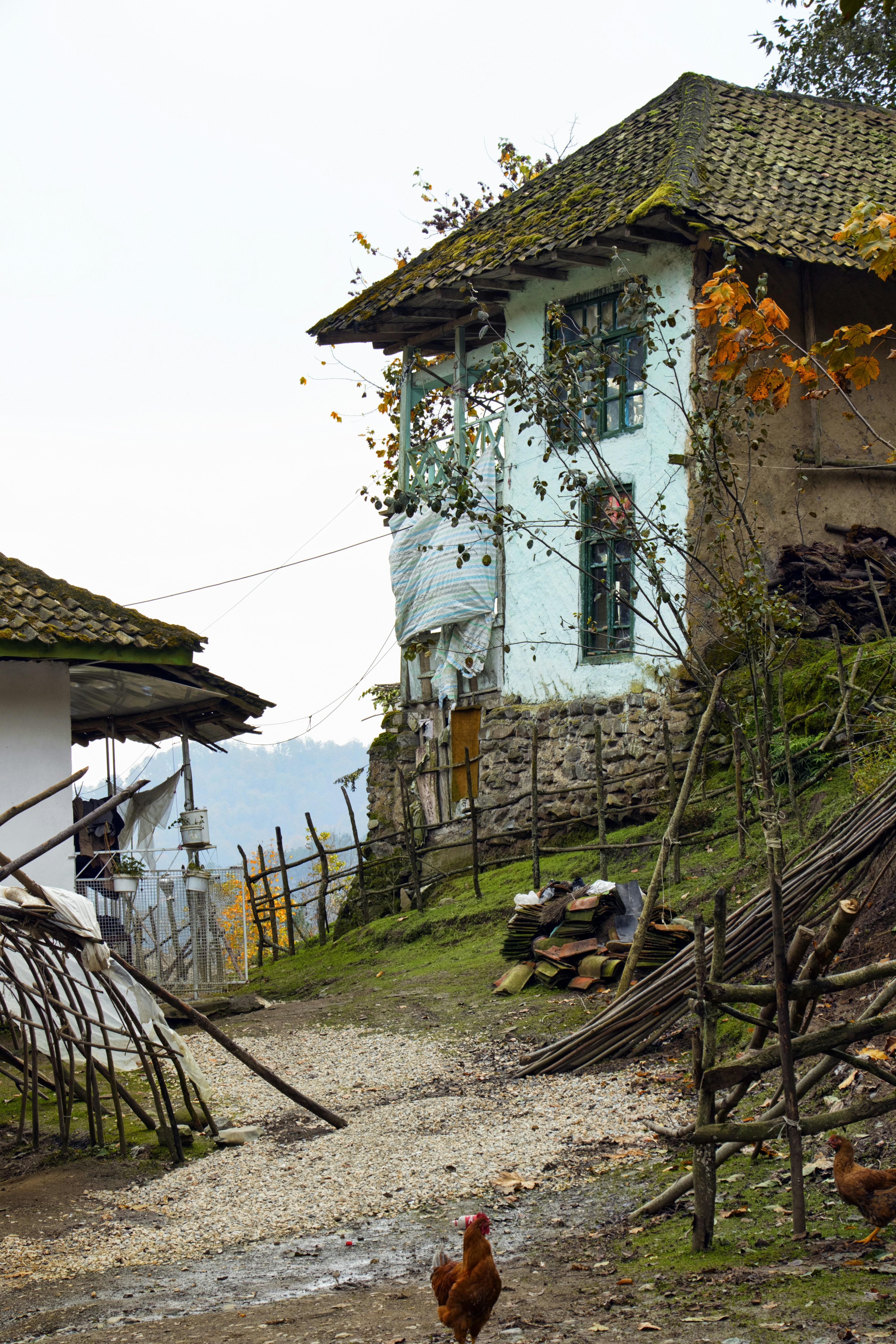 Kanrud Photos | Télécharger des images gratuites sur Unsplash