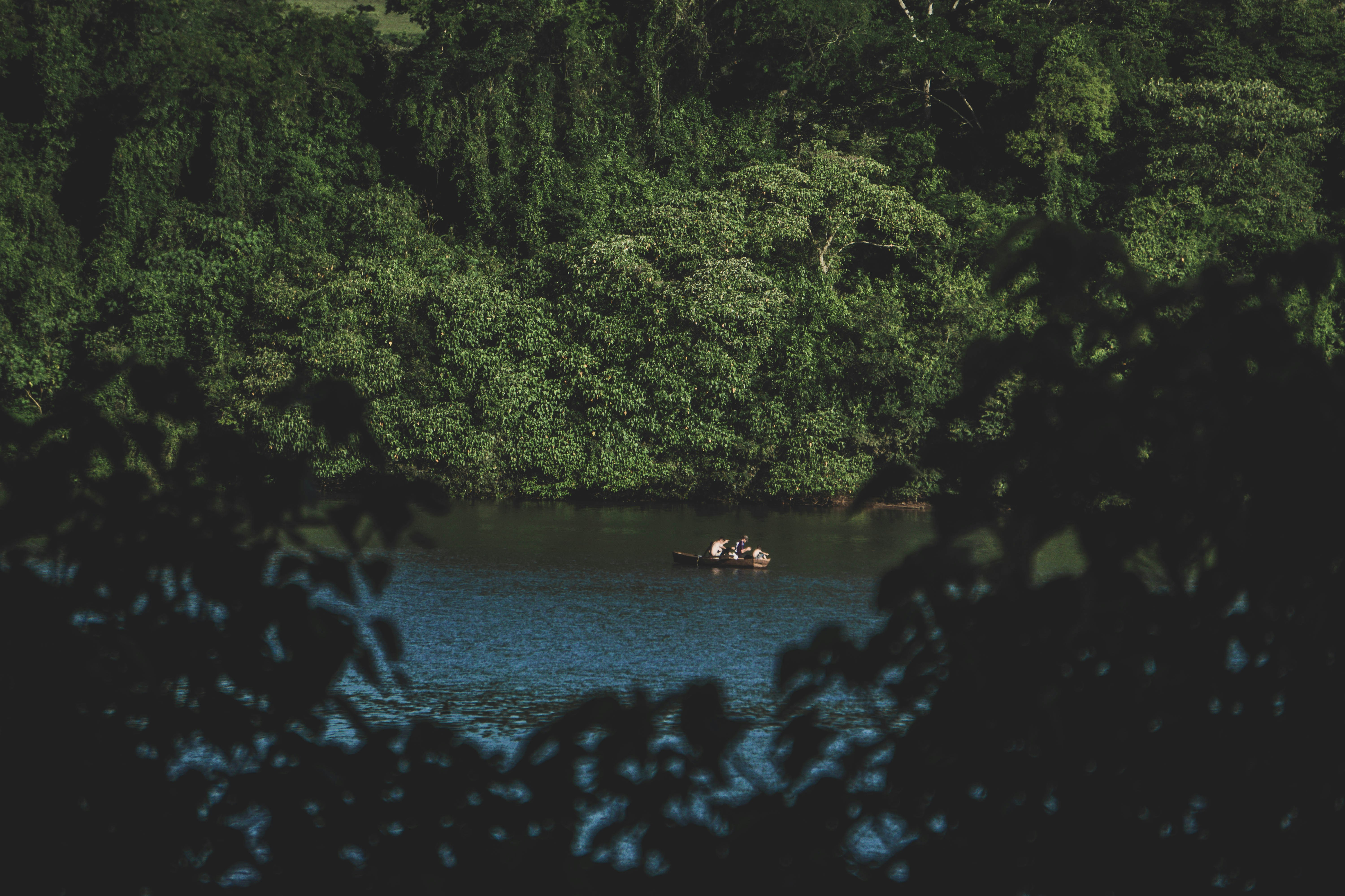 A small canoe glides across a tranquil lake, surrounded by lush greenery and reflections in the water.