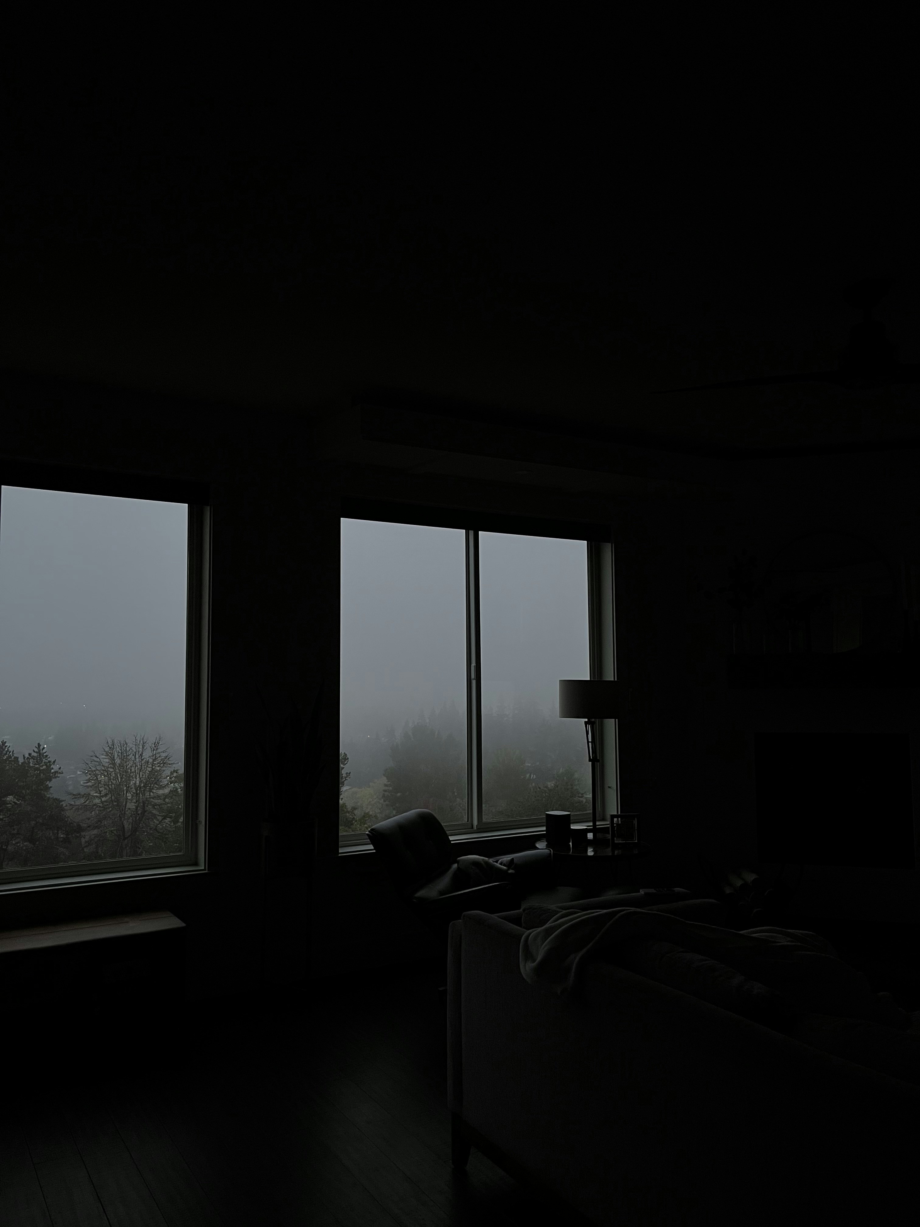A serene indoor scene featuring large windows shrouded in fog, with silhouettes of furniture and trees visible outside. The atmosphere evokes a sense of calm and introspection.