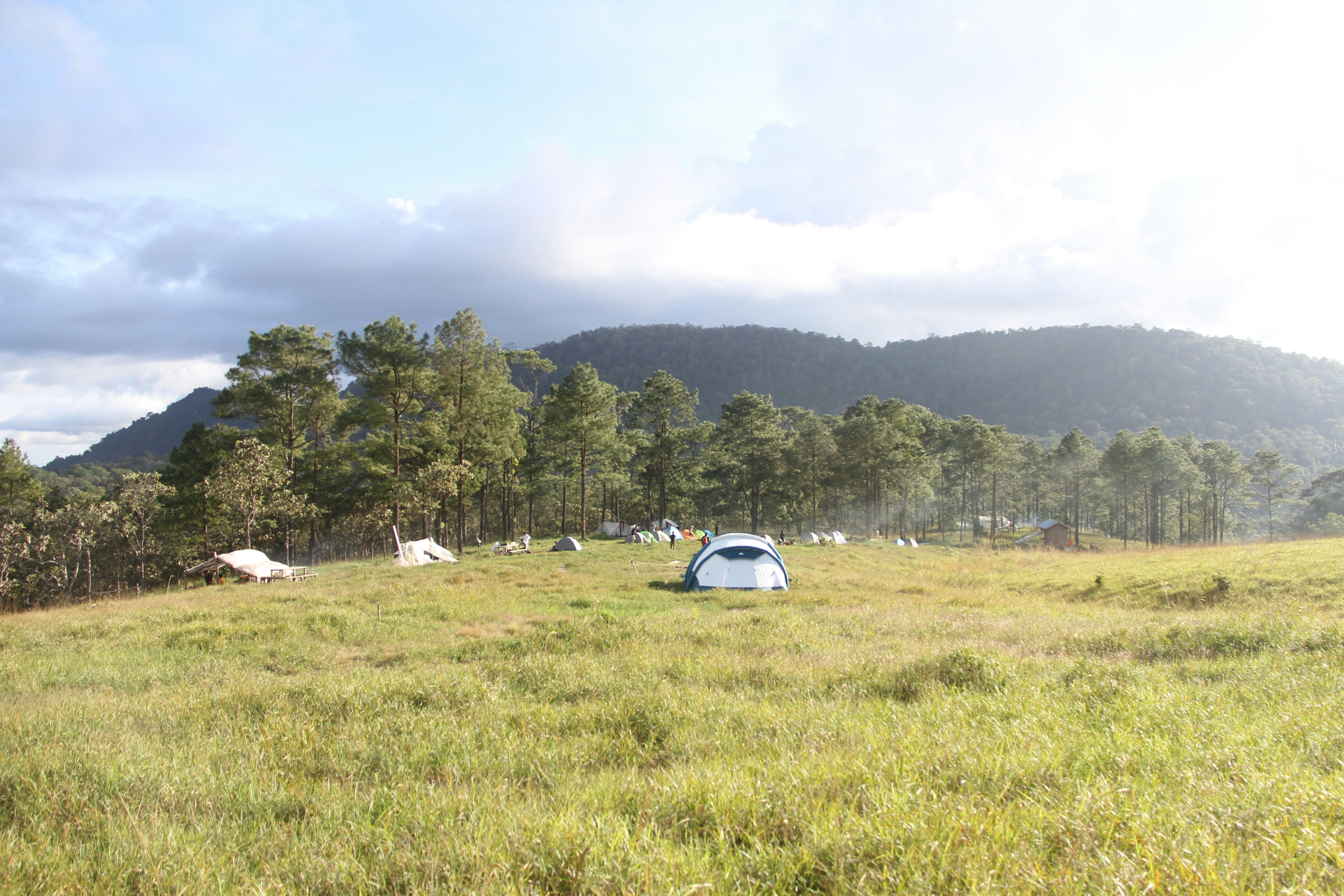 Blue Tent at Dappled Dawn in a Quiet Mountain Meadow