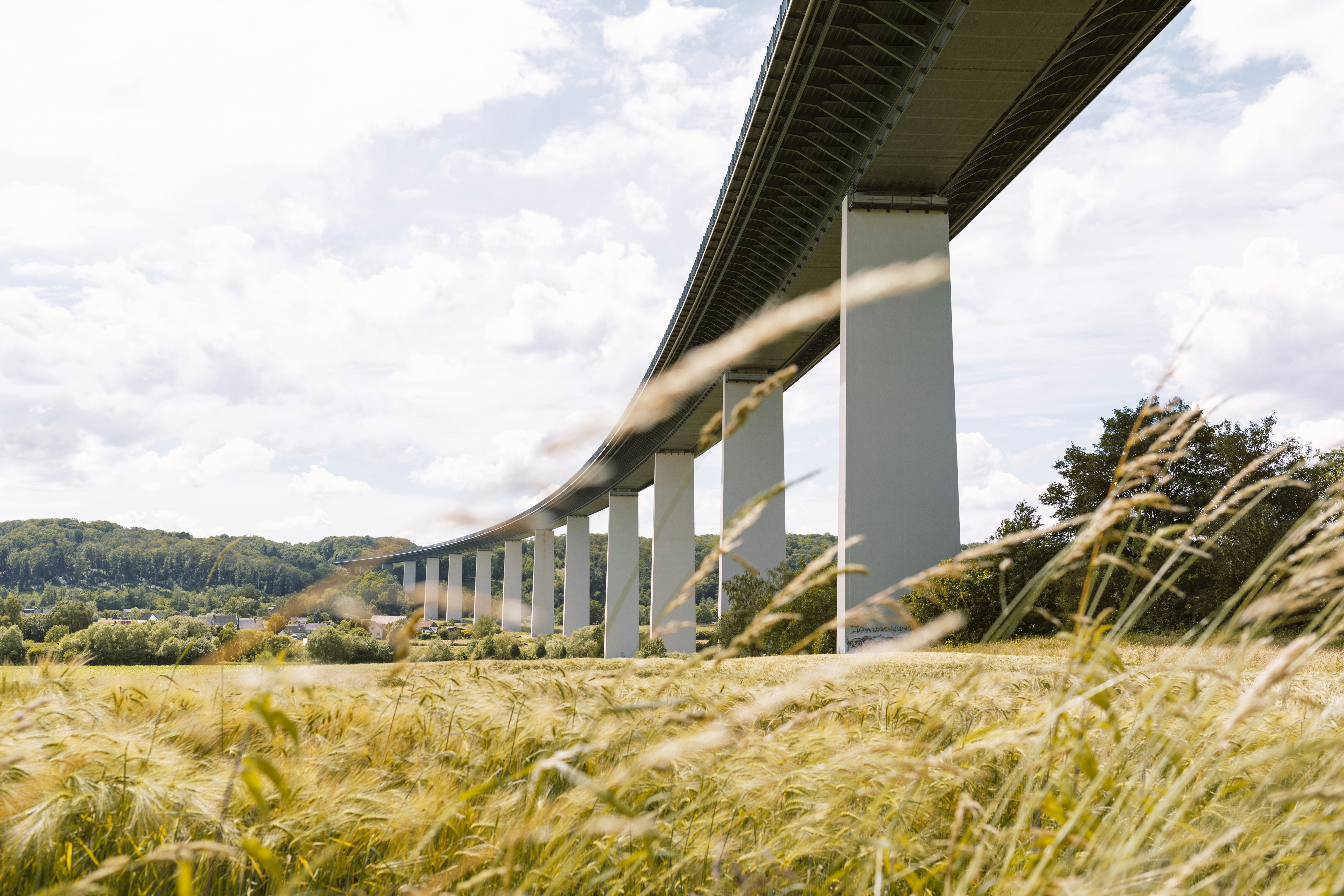 A view of a bridge over a field of tall grass photo – Free Bridges ...