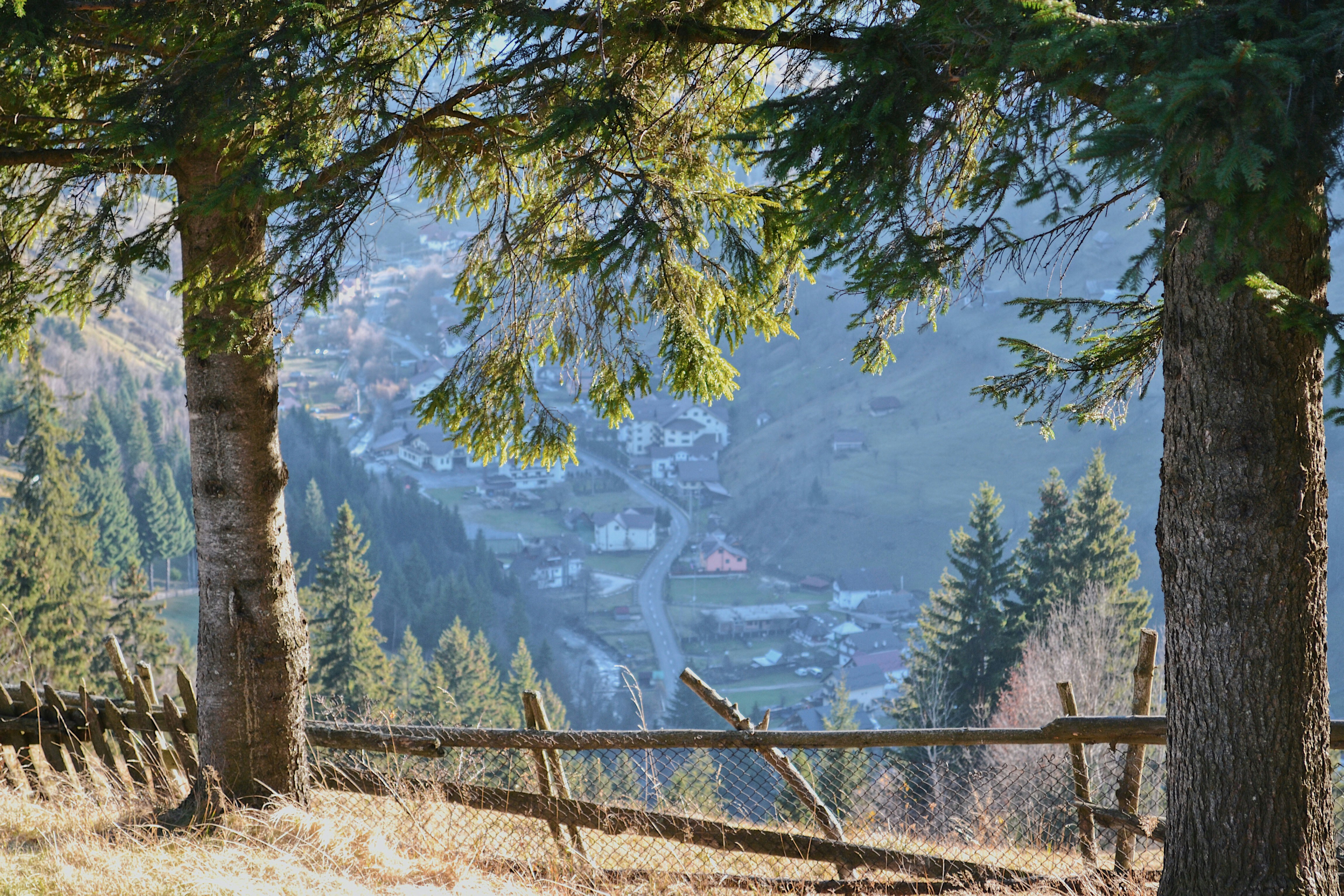Pine-Framed Valley: Sunlit Alpine Village Beyond the Fence
