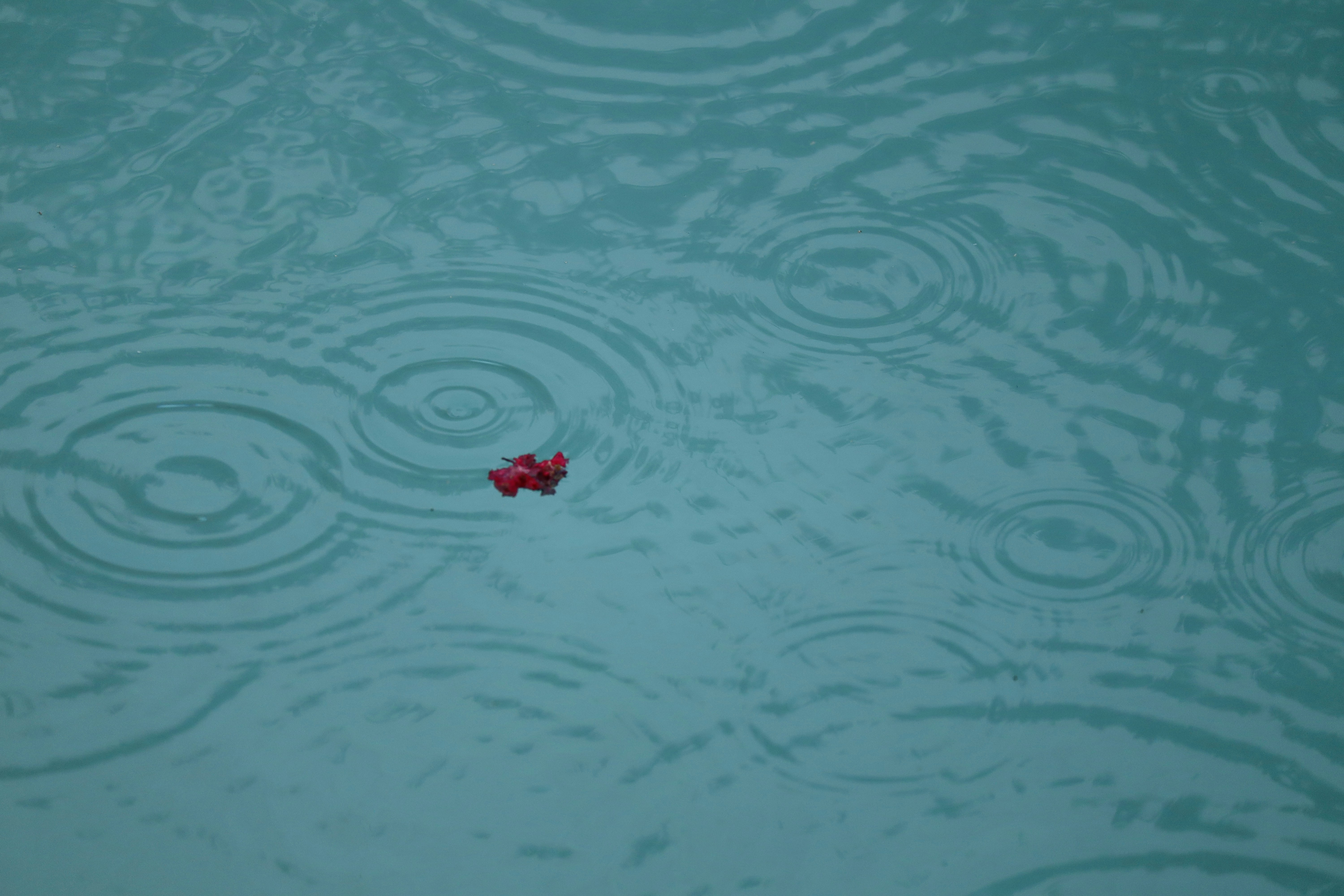 Red Speck on Calm Ripples: A Tiny Focal Point in Turquoise Water