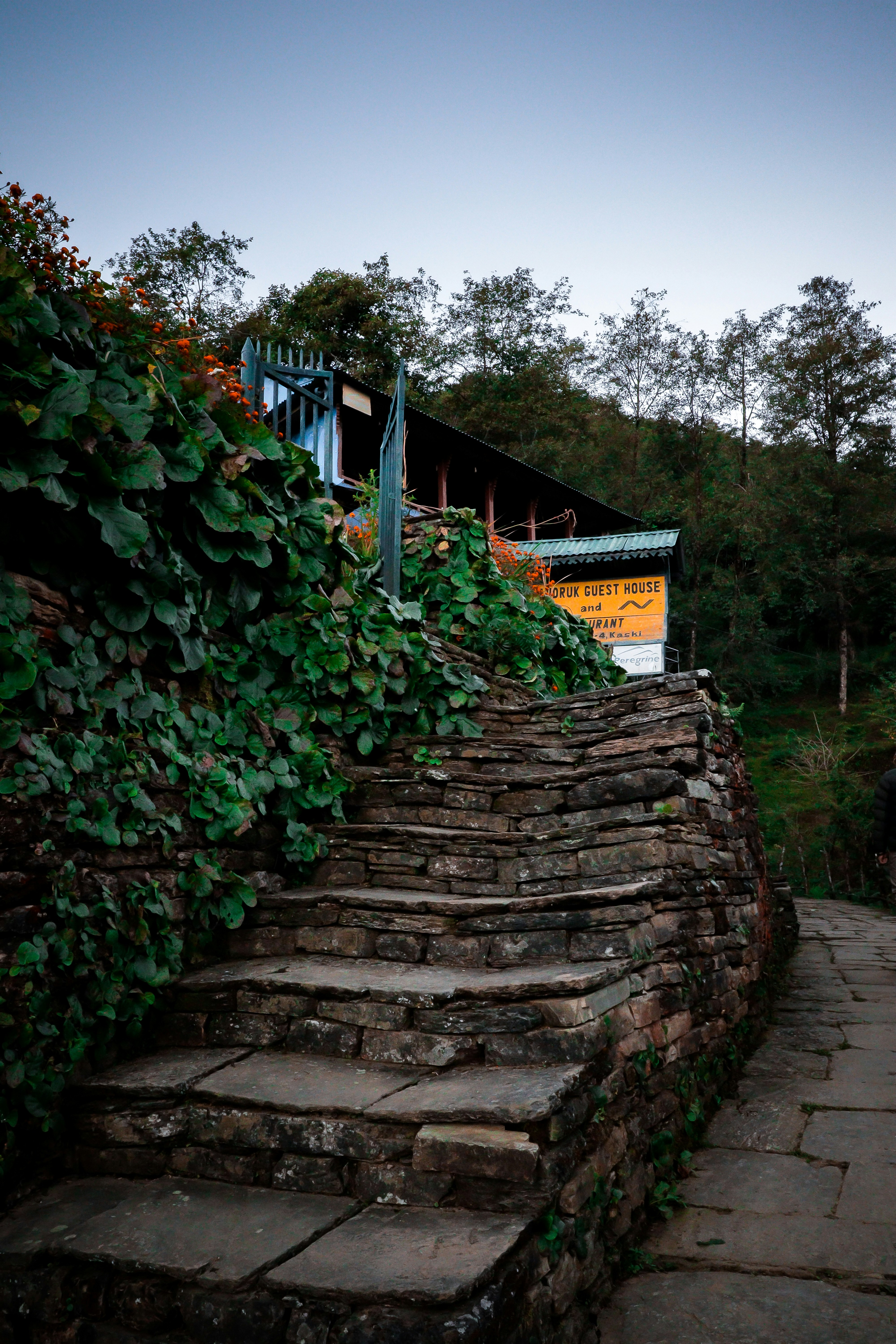 Stone steps leading to a hillside guest house among lush greenery