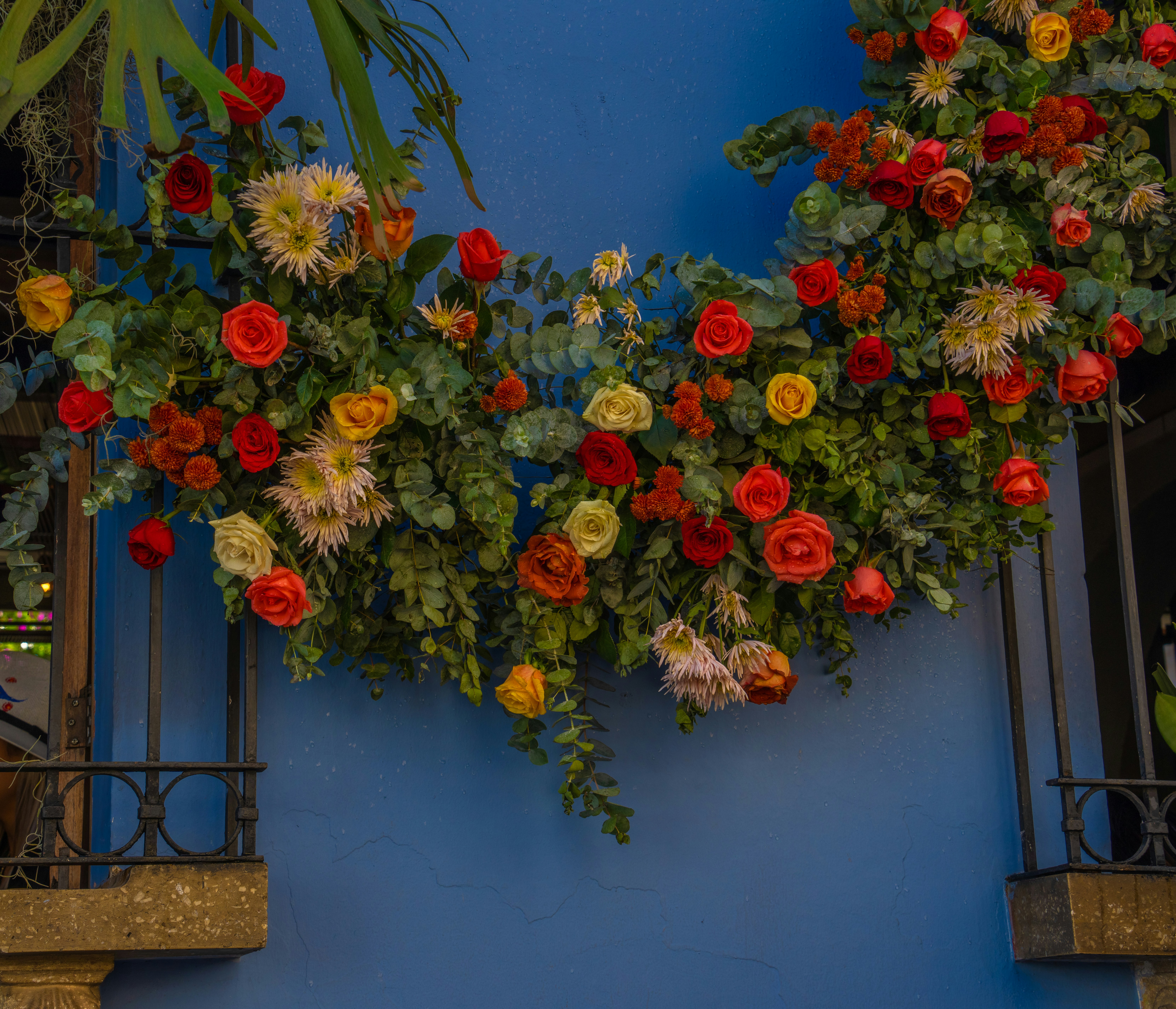 a bunch of flowers that are on a wall