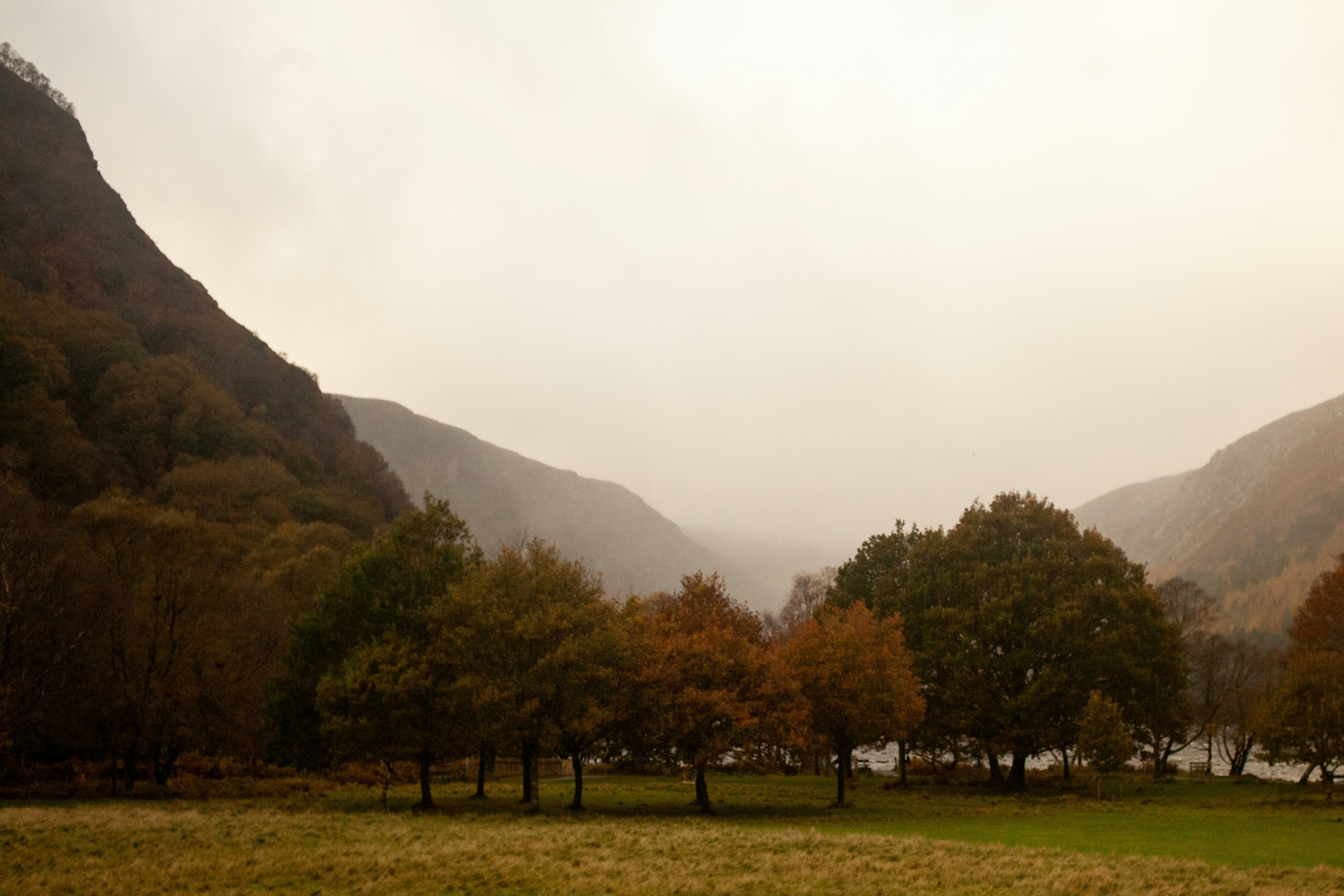 Mist over the Valley: Autumn Trees in a Quiet Gorge