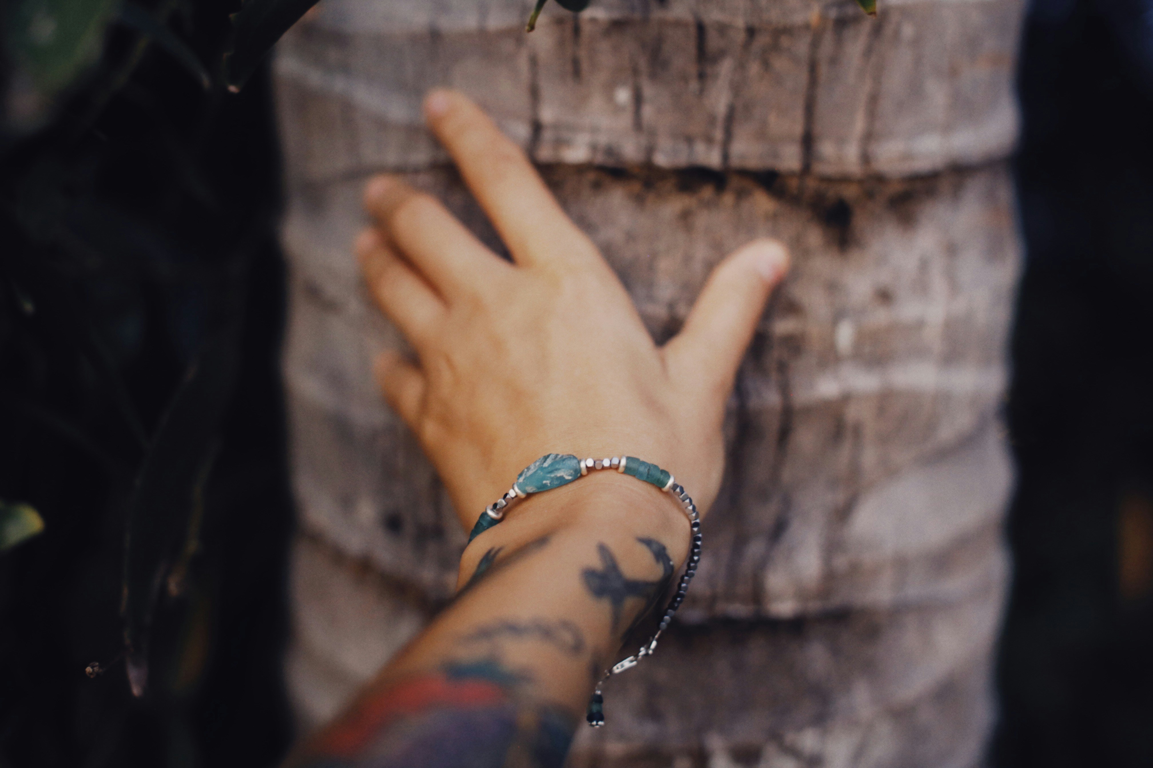 a person's hand on a tree trunk