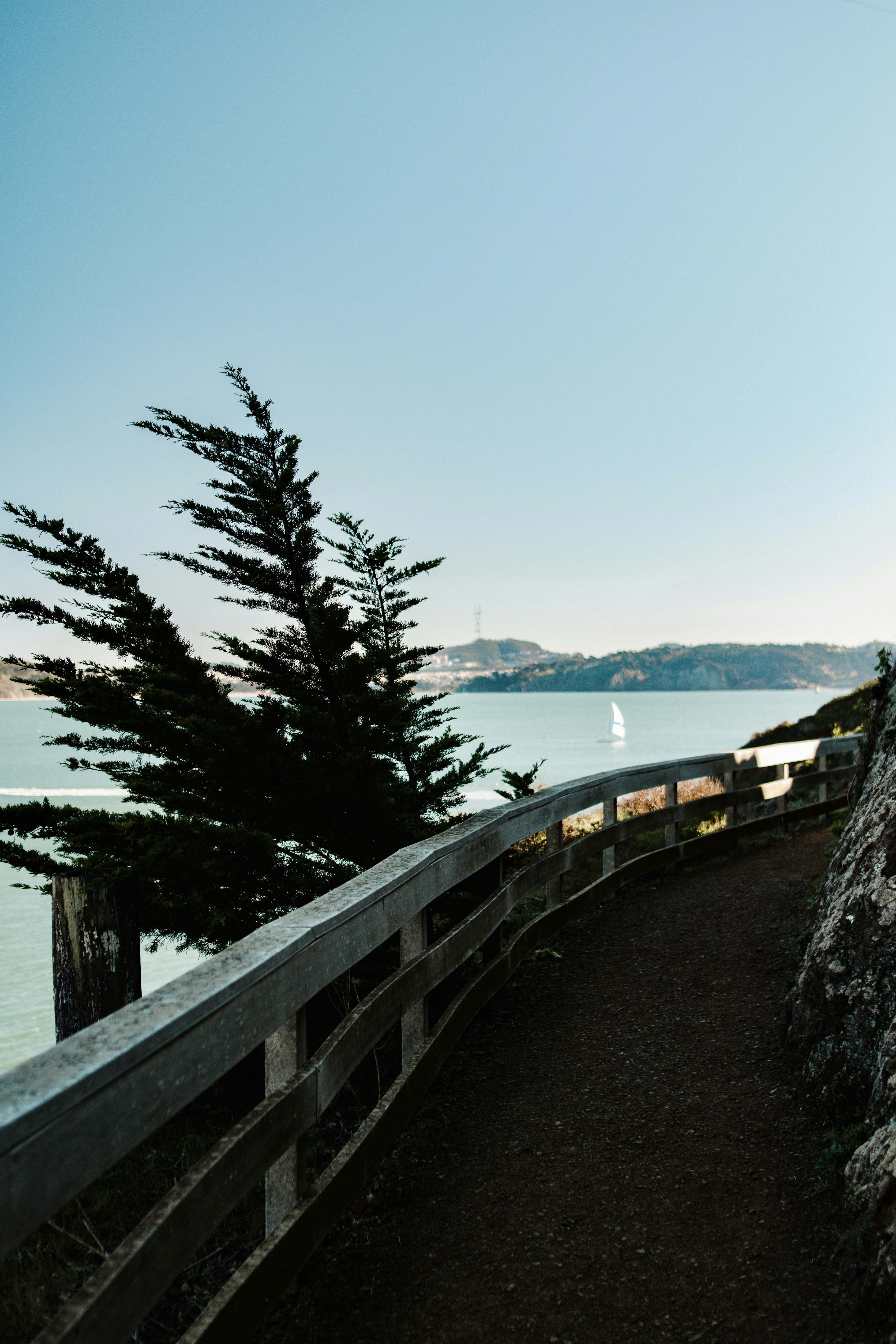 Windward Walk: Pines, Sea Light, and a Distant Sail on the Horizon