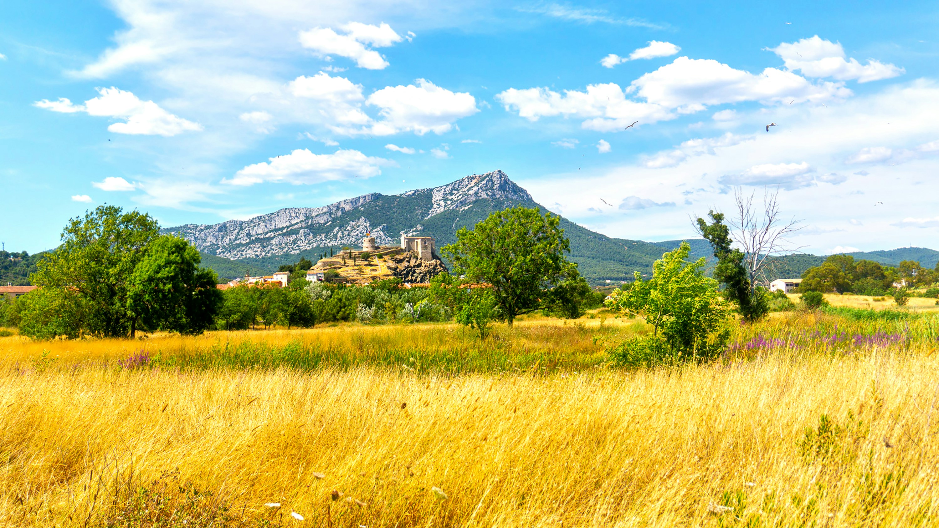 British Cassiss, British version of Creme de Cassis