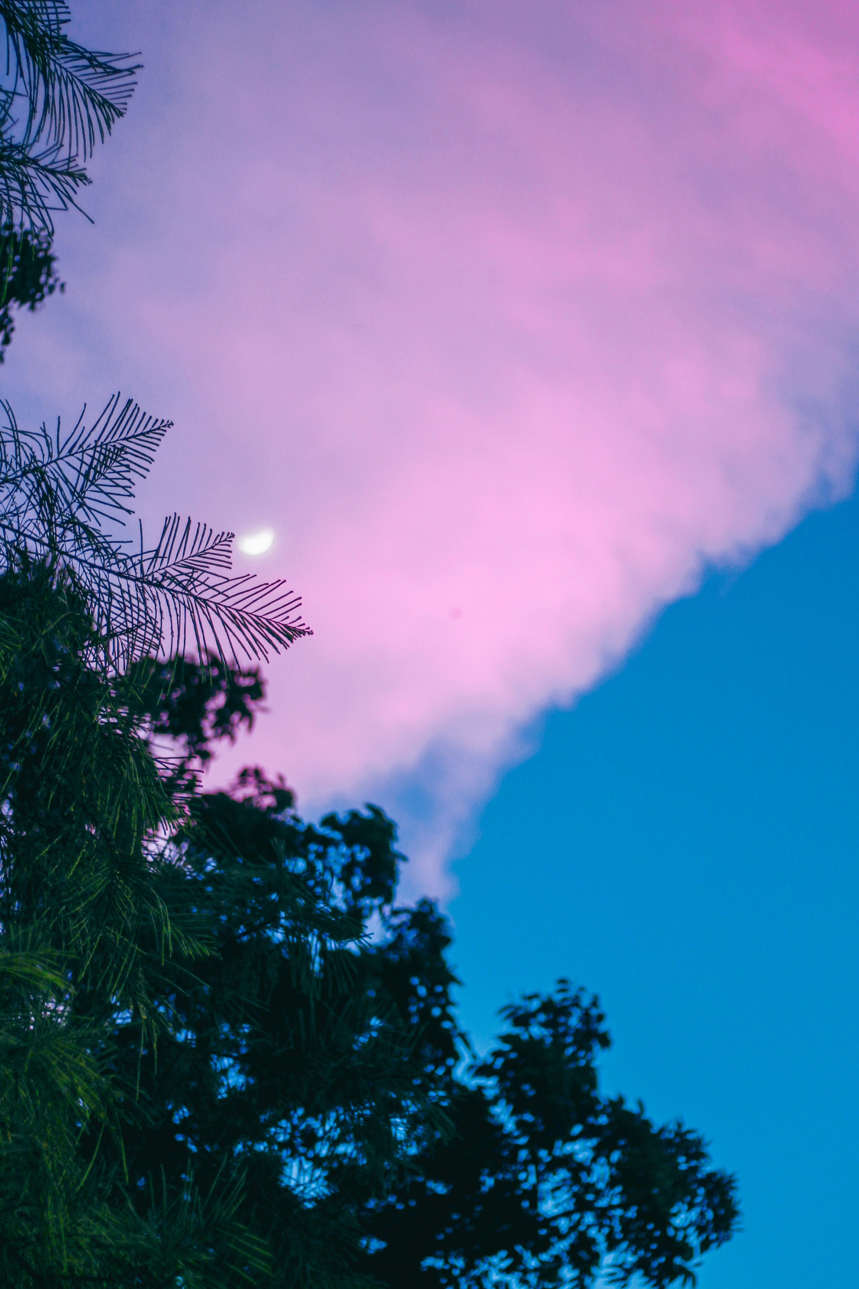 Wazaer Shadman (@wazaer) | Unsplash Photo Community