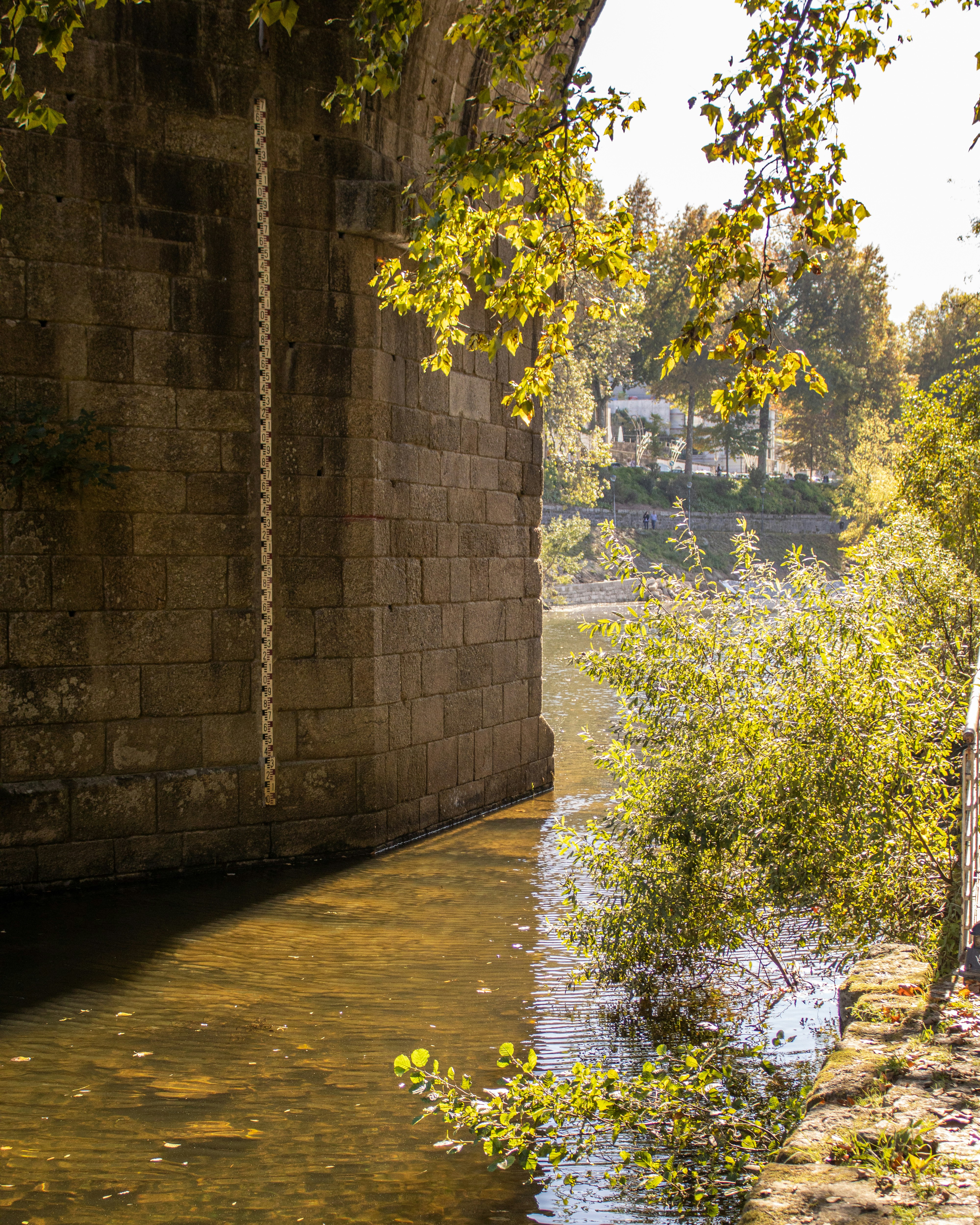 A man sitting on a bench next to a river photo – Free Amarante Image on ...