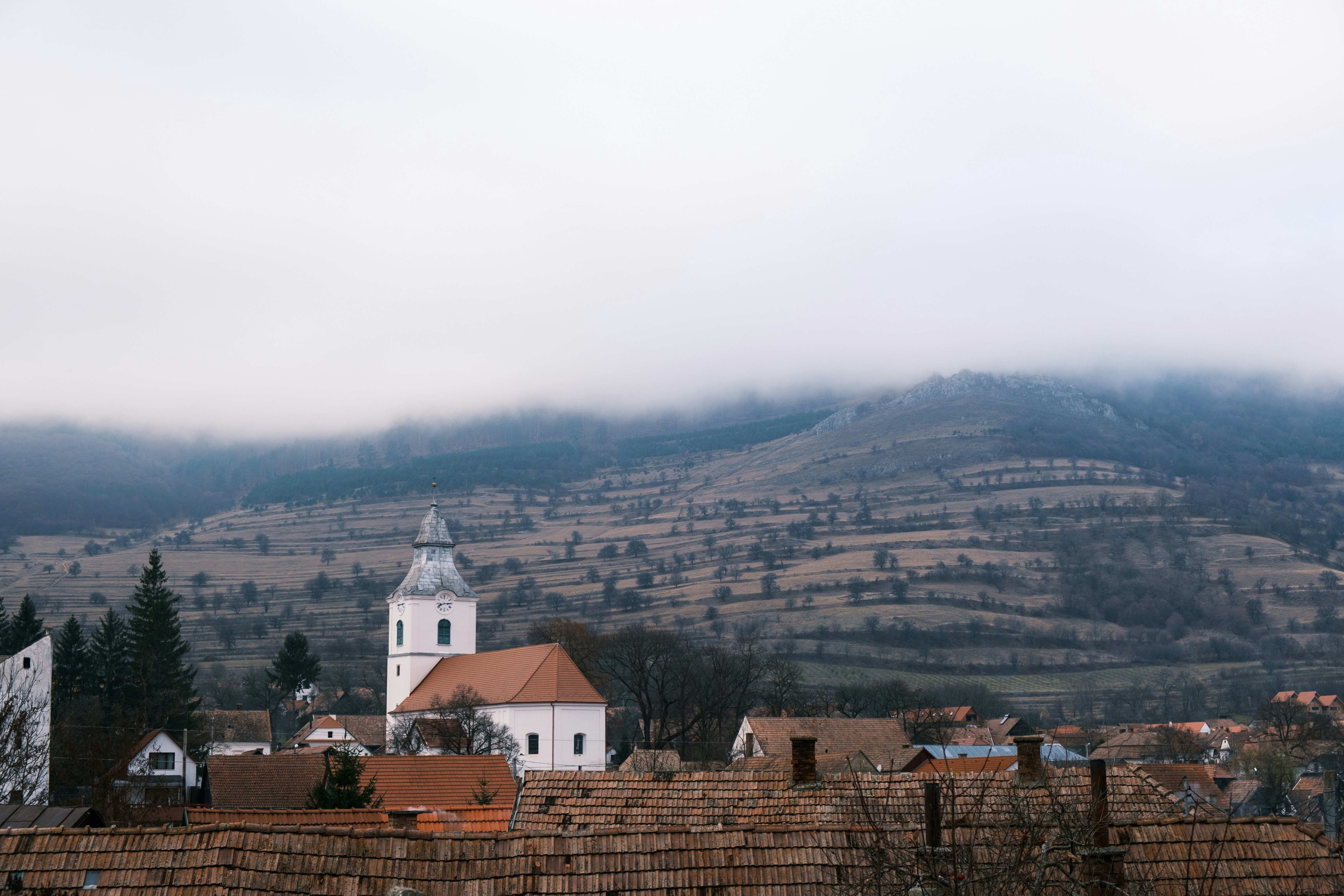 a view of a town with a mountain in the background