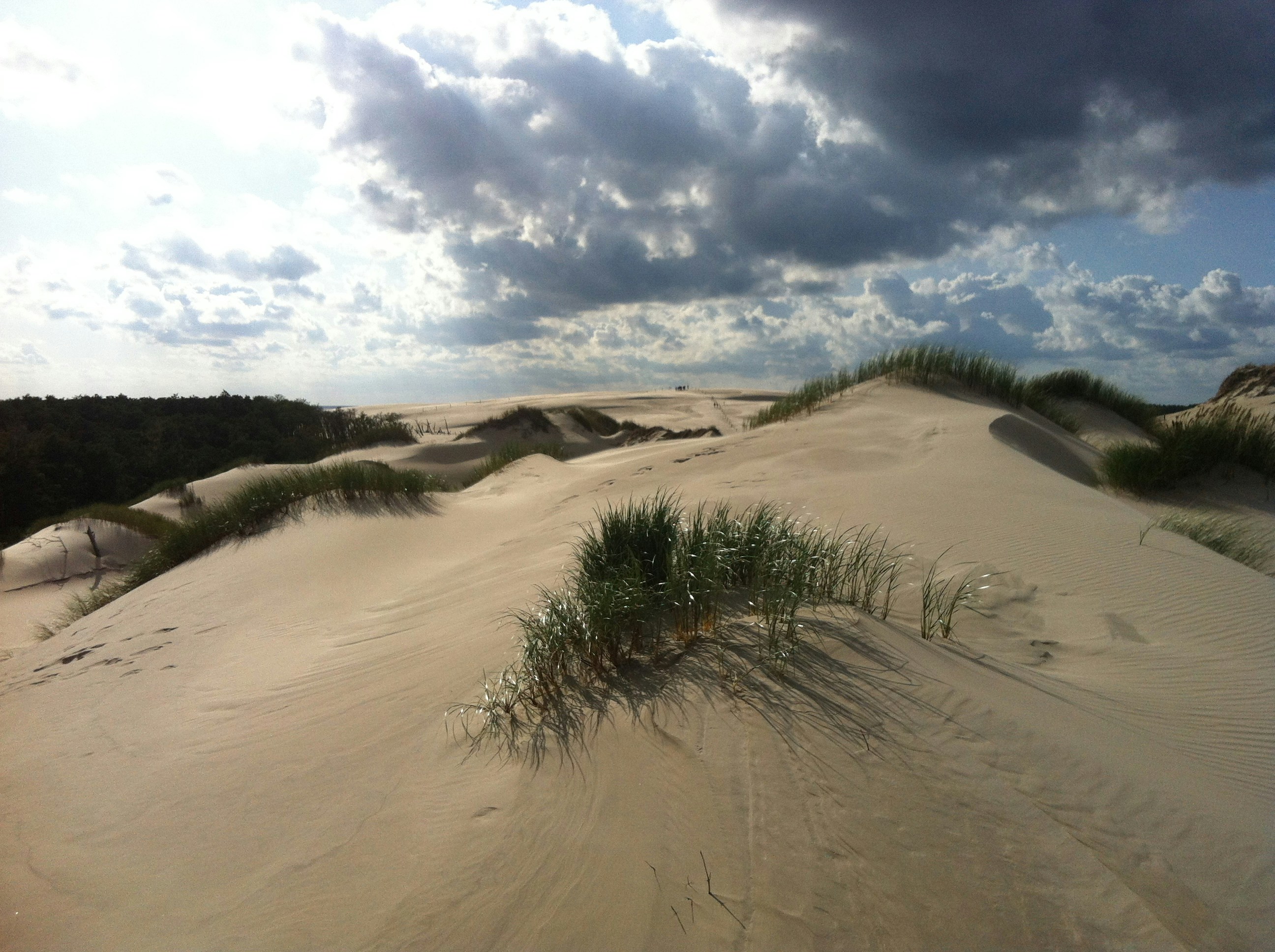 Tufts of Grass on Wind-Swept Dunes Beneath a Cloud-Scarred Sky