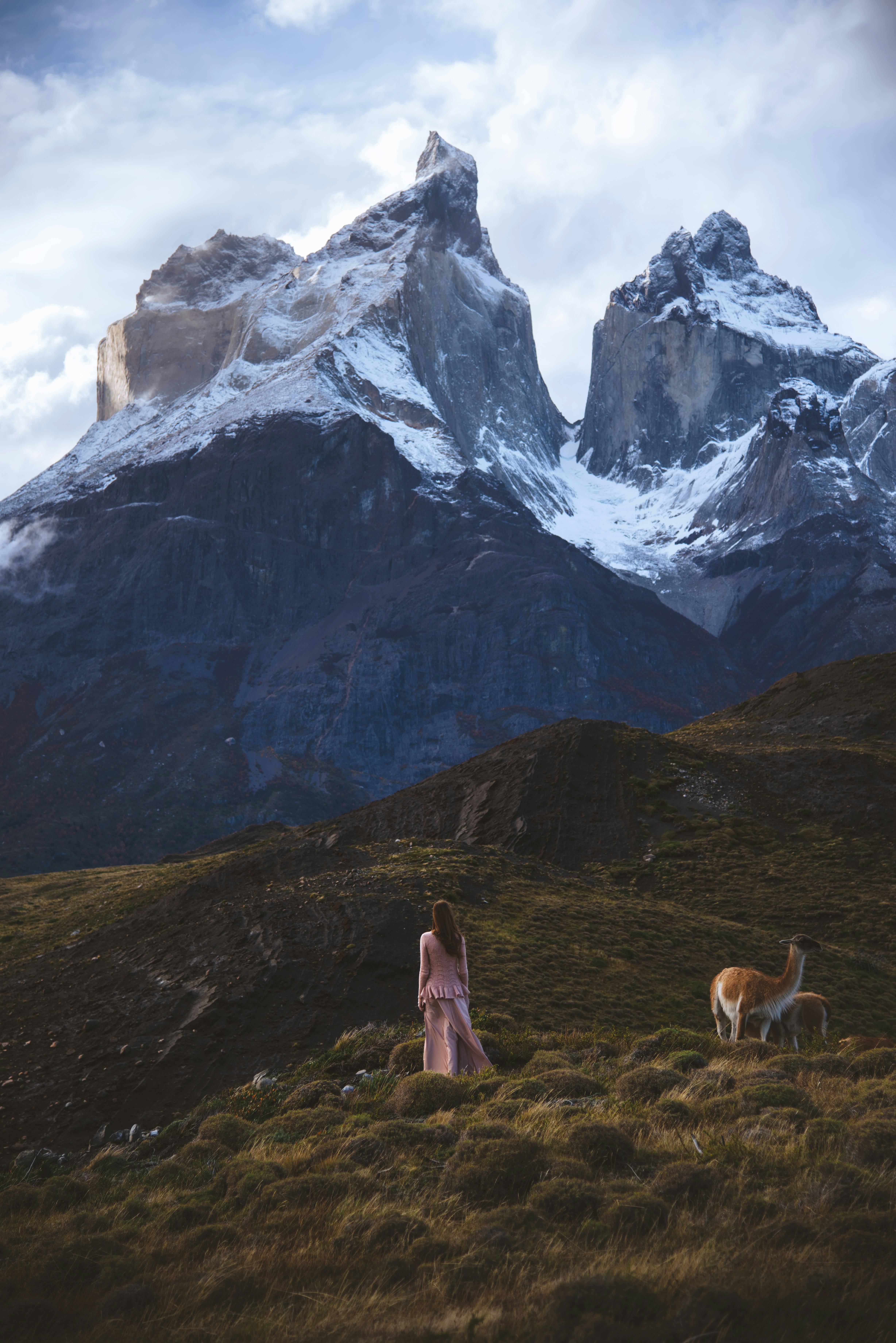 Pink Silhouette at the Foot of Snow-Trimmed Peaks