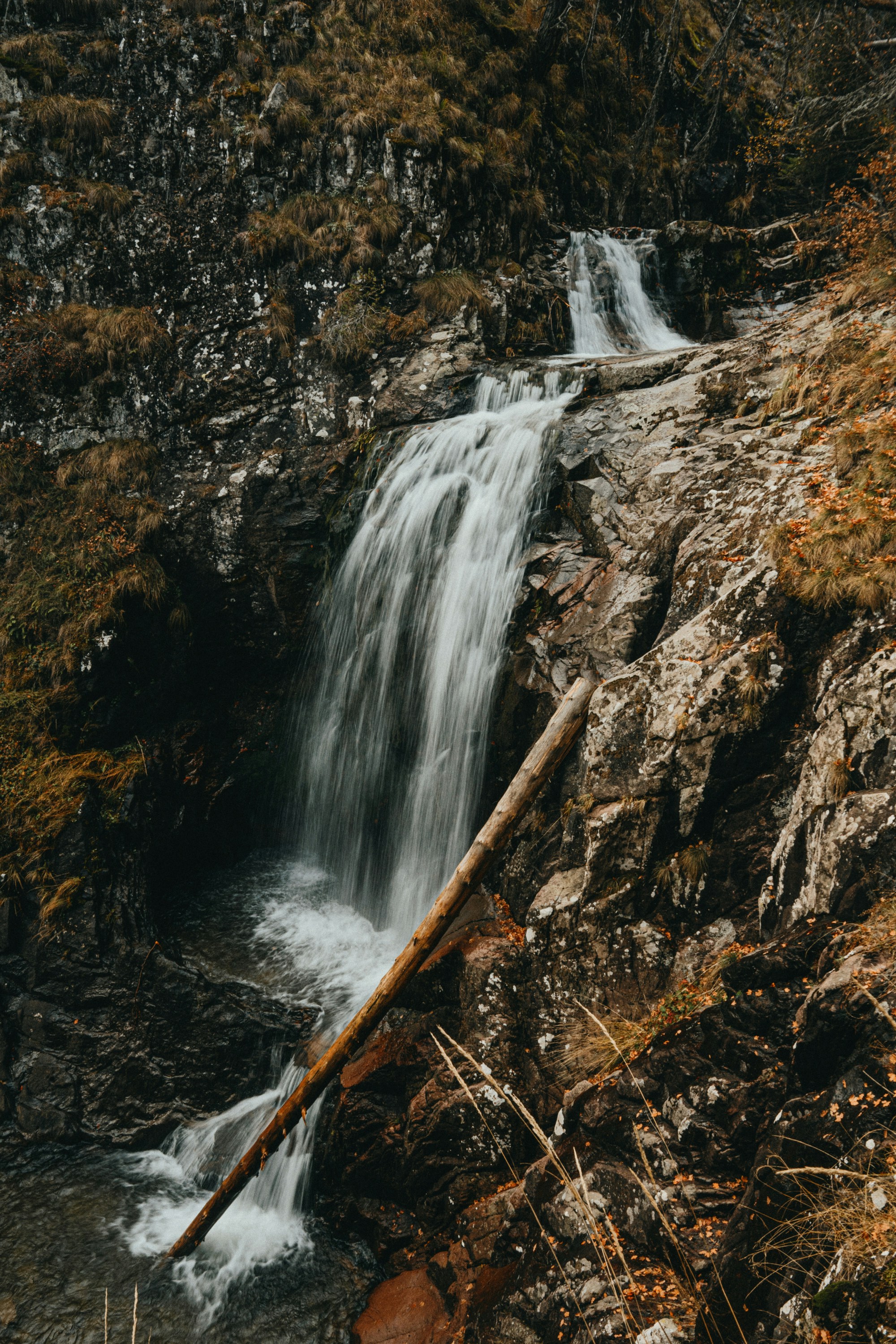 Une petite cascade au milieu d’une forêt photo – Photo Le canyon des ...