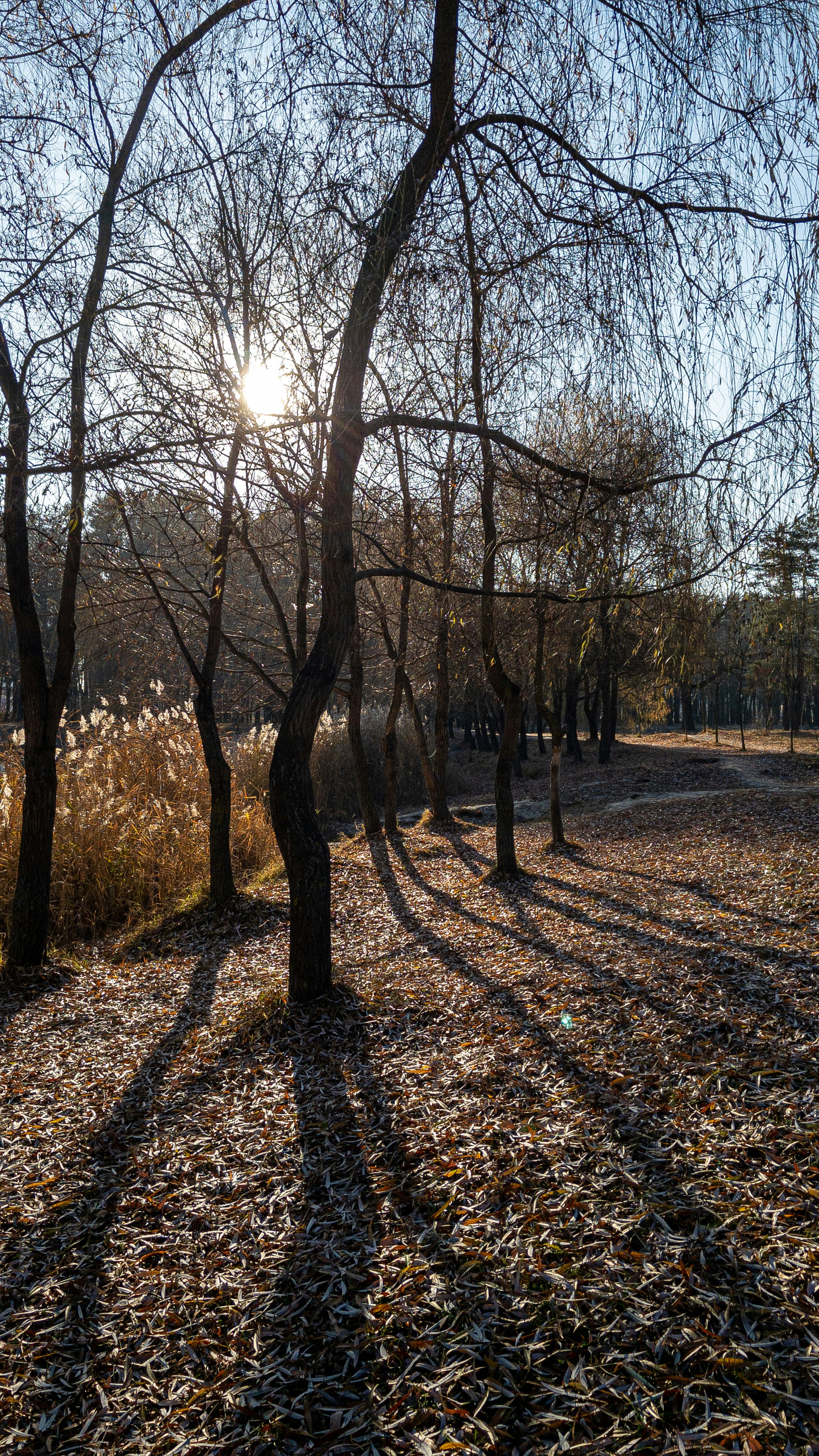 Dimitri (@dimi92) | Unsplashフォトコミュニティ