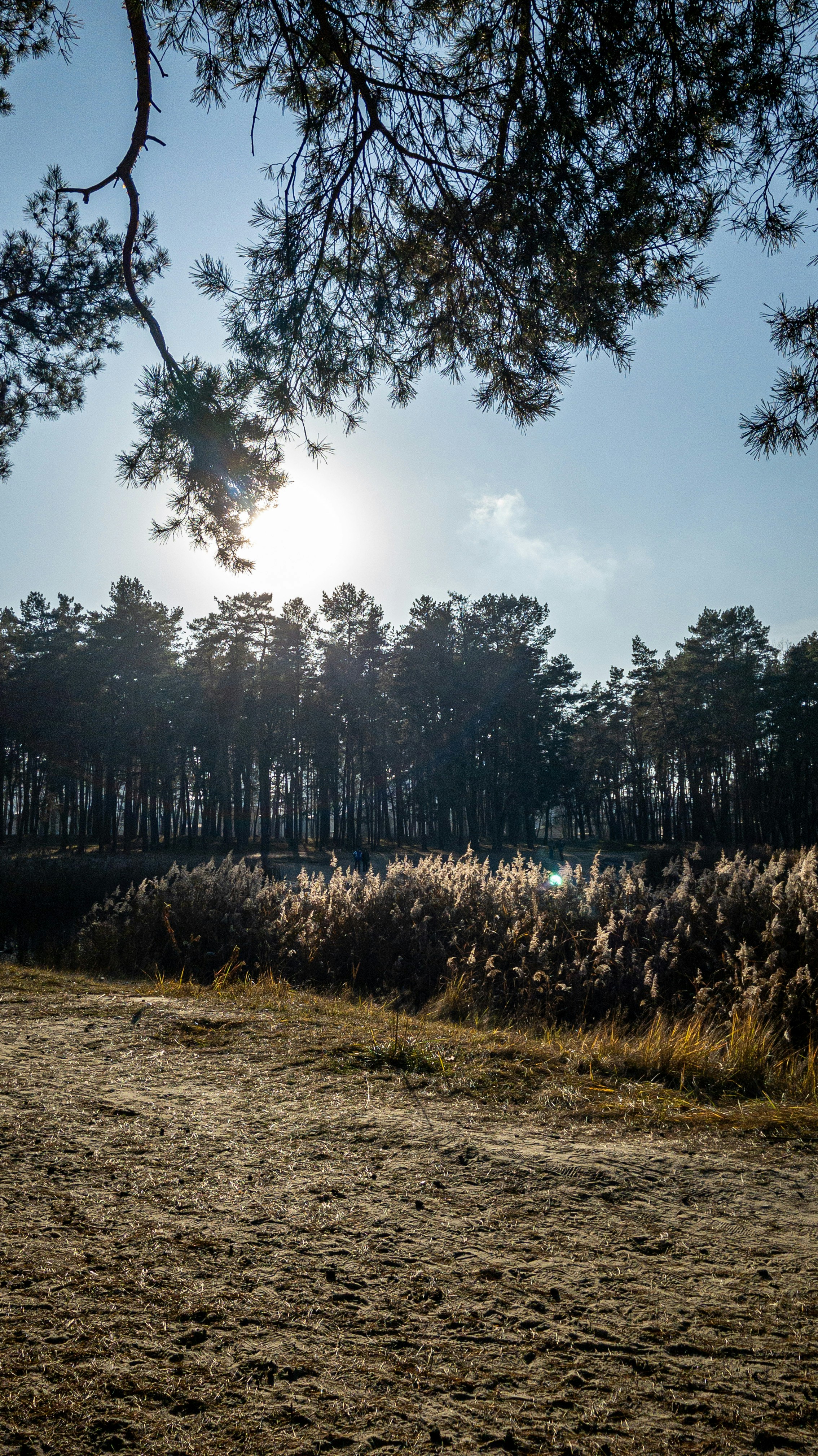 Dimitri (@dimi92) | Unsplashフォトコミュニティ